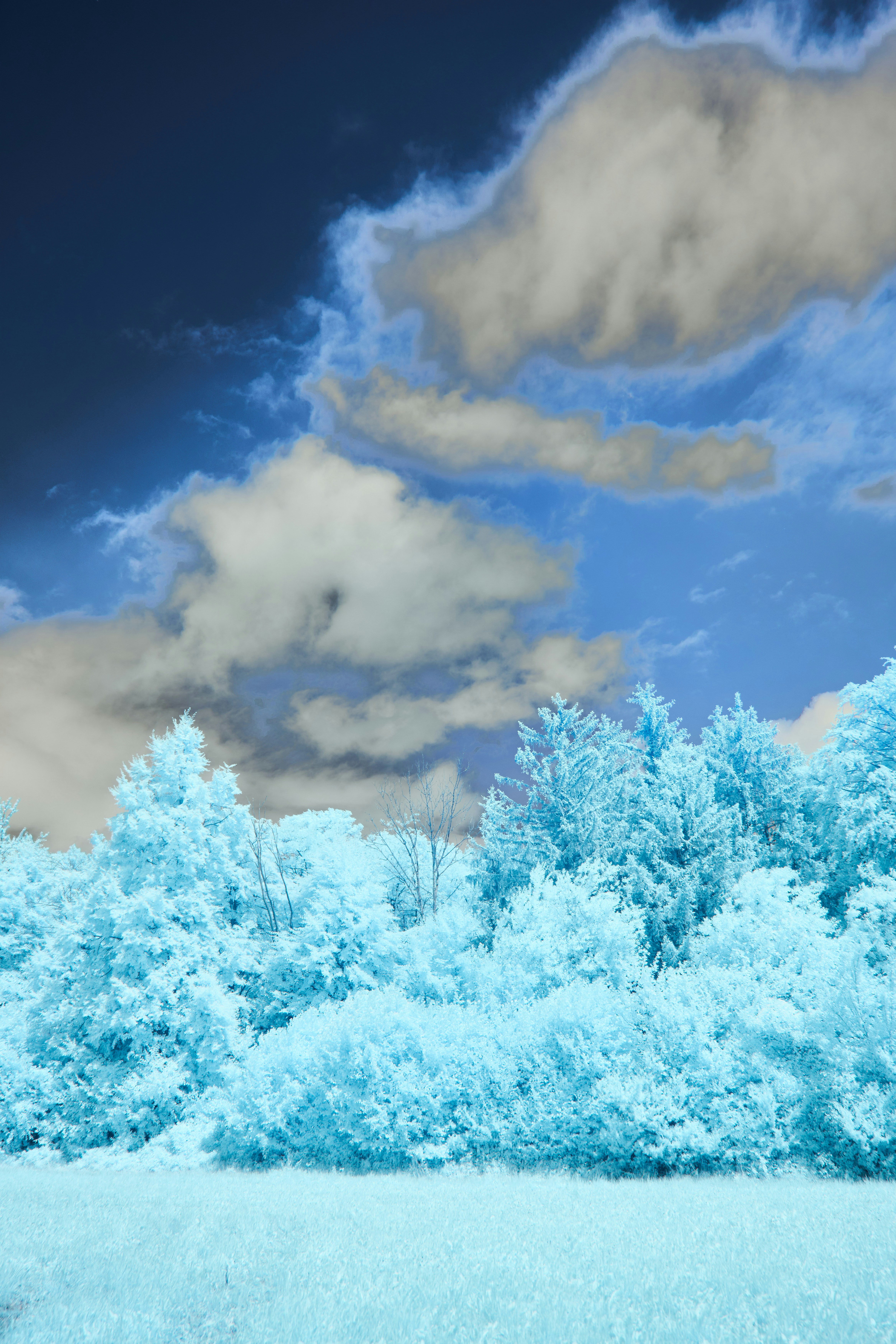 A blue landscape with trees and clouds in the background photo – Free ...