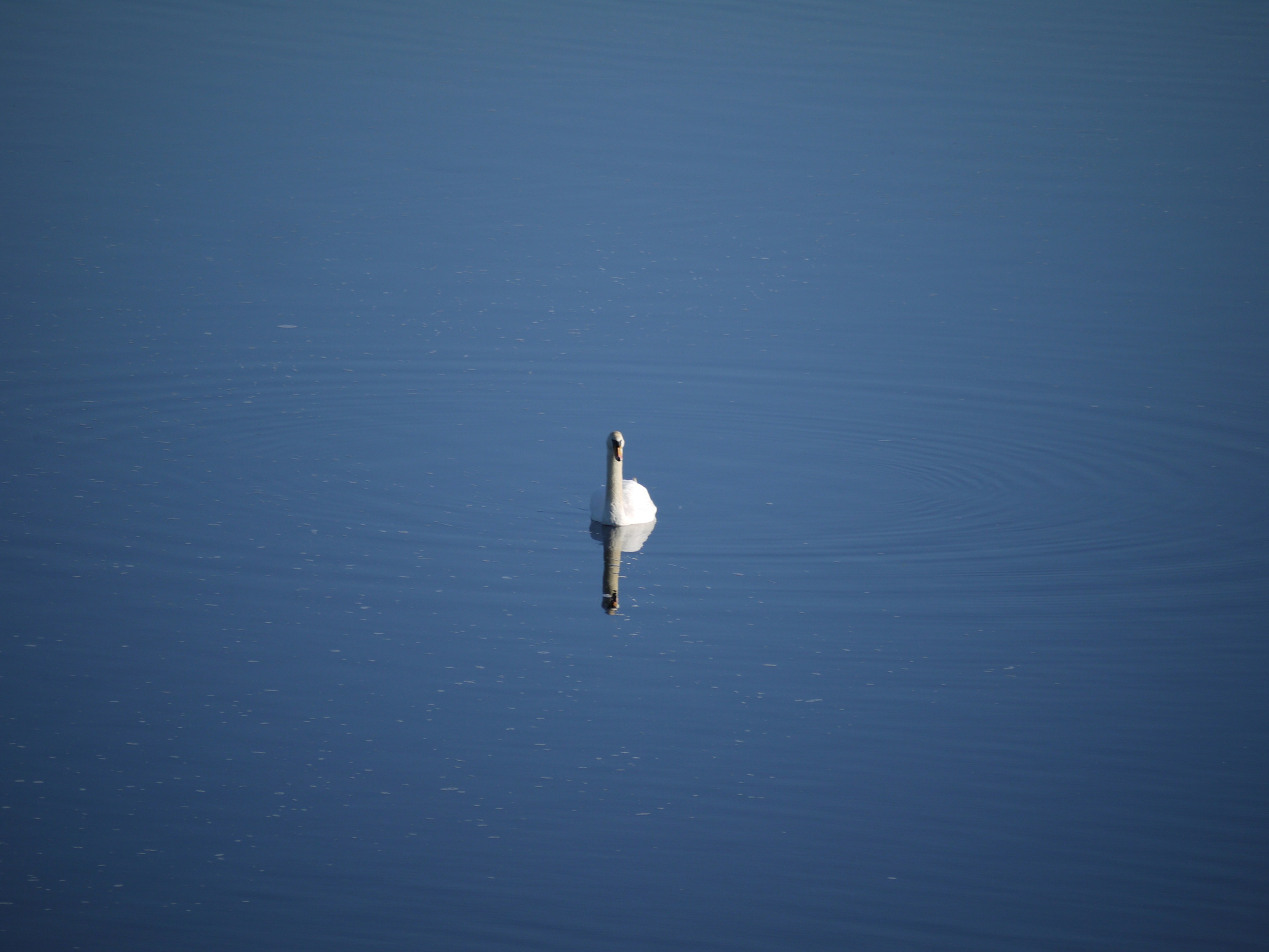 Sample photo from Panasonic Lumix G10