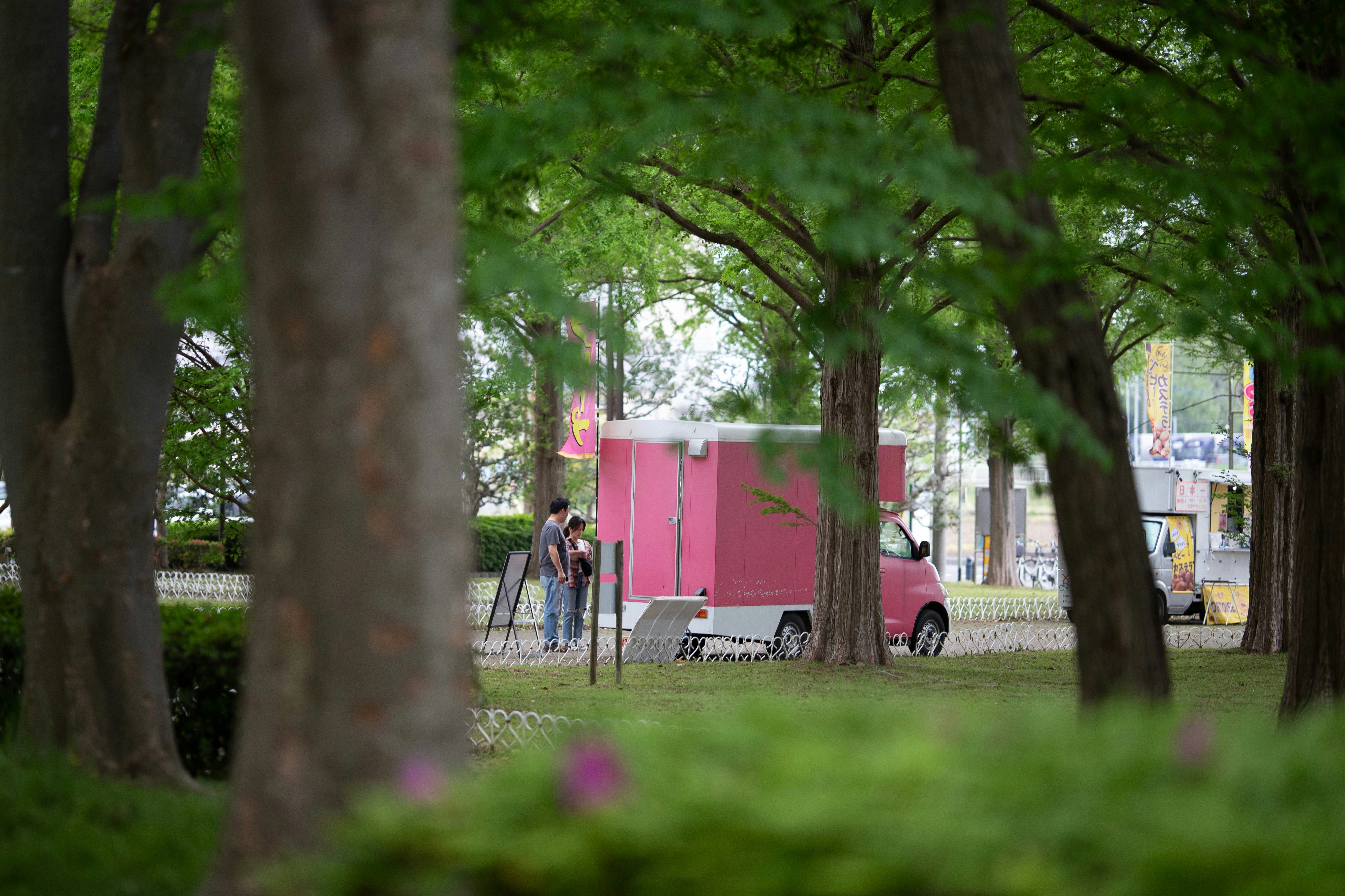 Parkside Conversation by the Pink Delivery Van