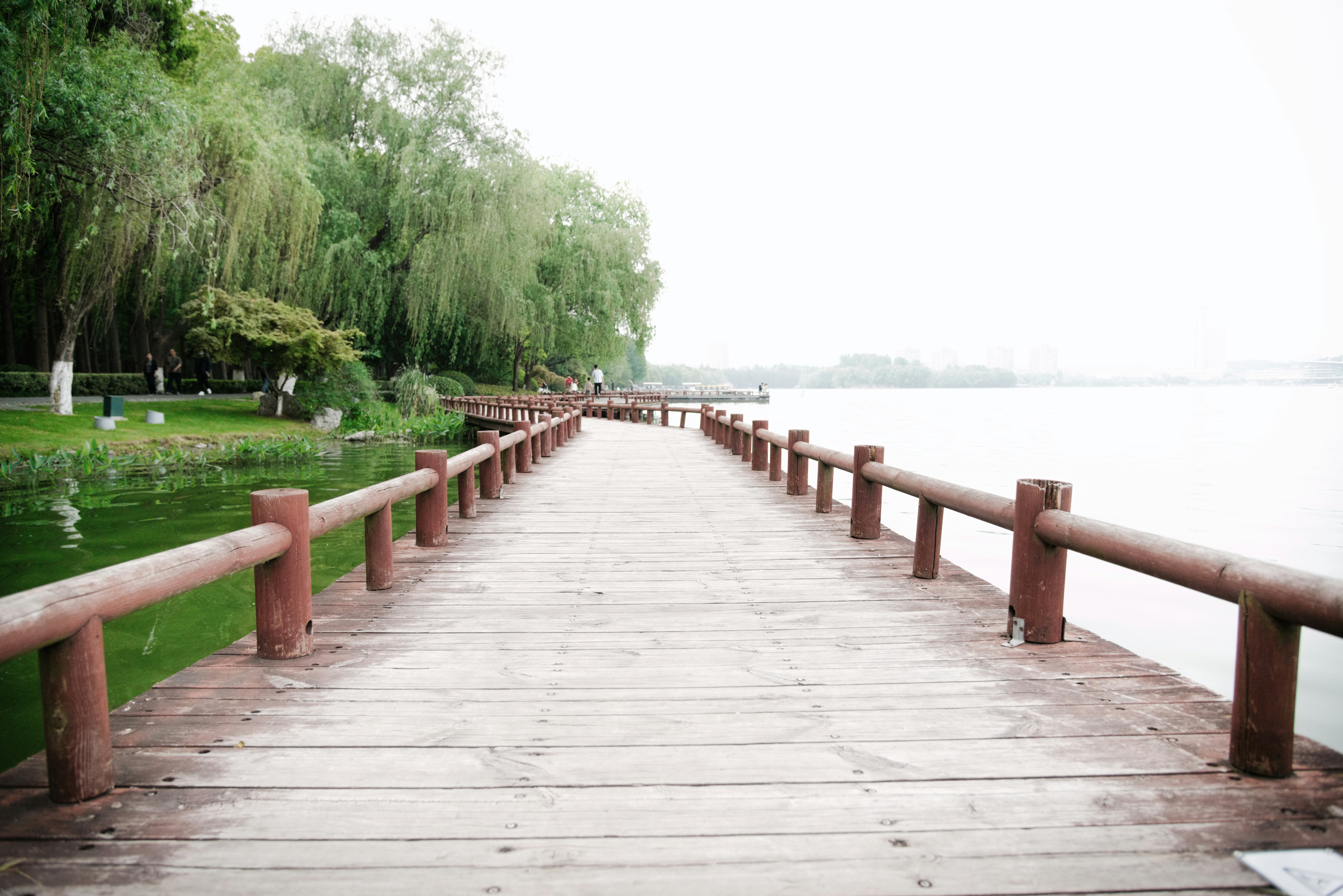 Vanishing Pier: Rails Toward a Misty Horizon
