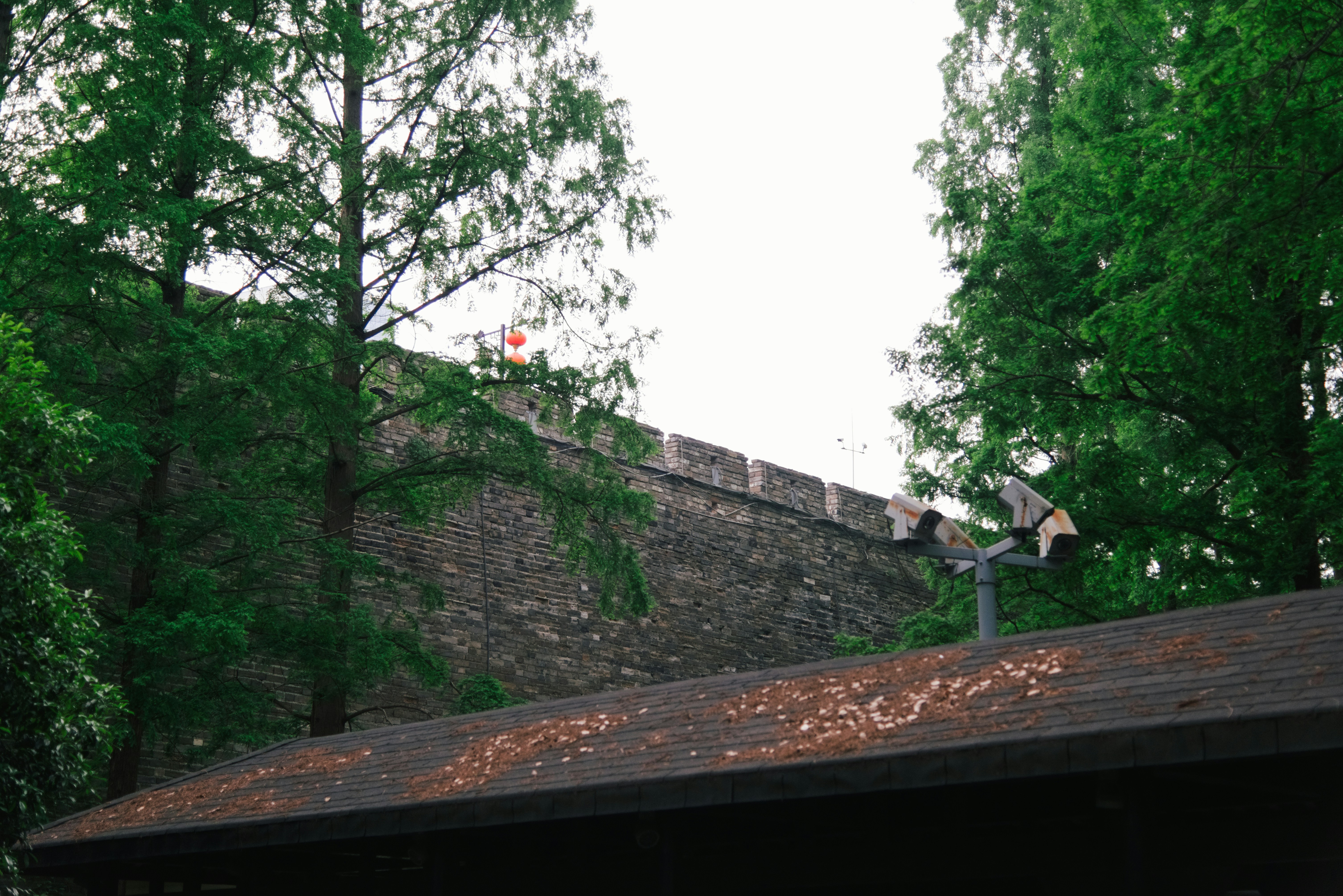 Red Beacon Above the Mossy Fortress Wall Framed by Green Canopy