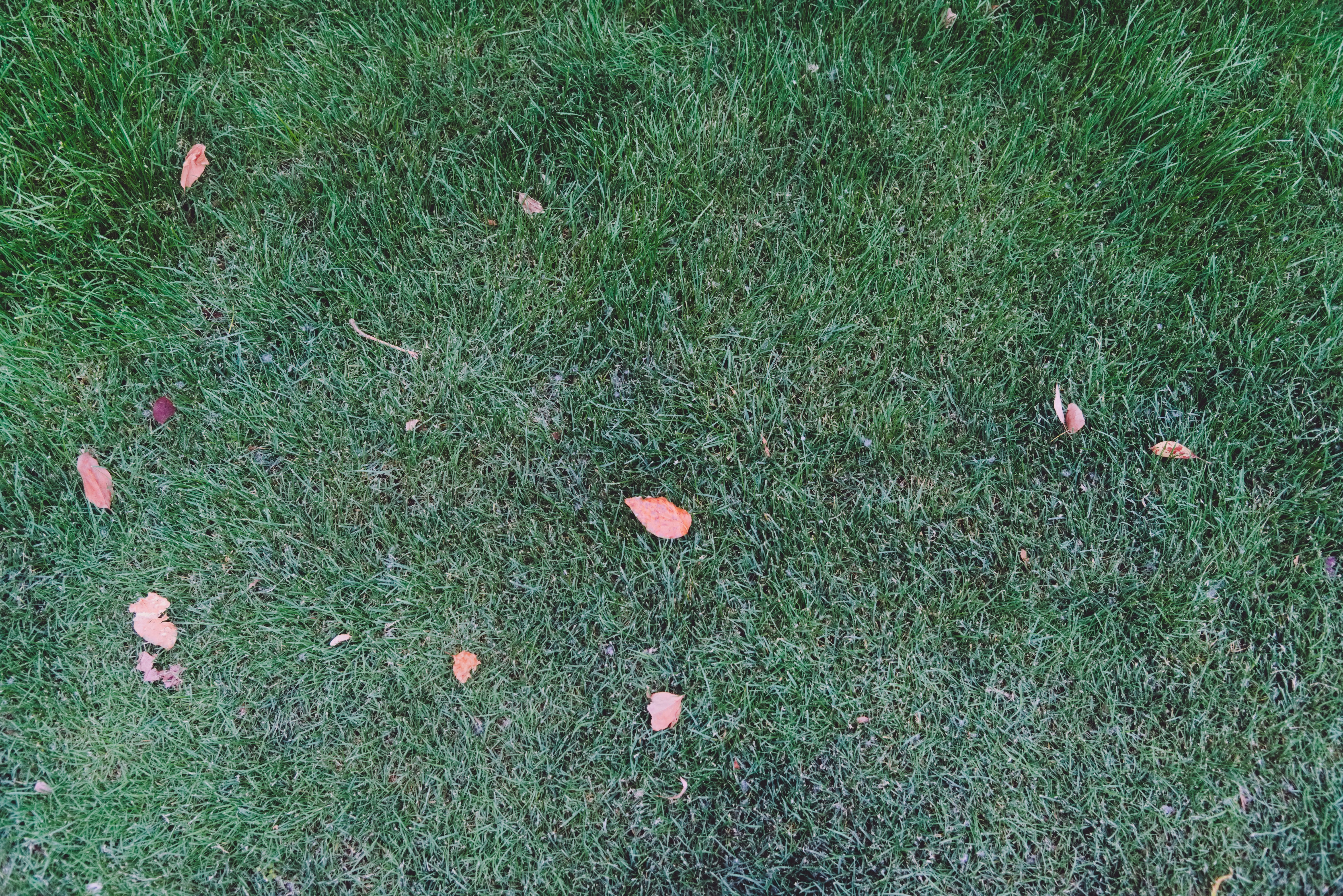 Photo by Bo Peng with Nikon D610