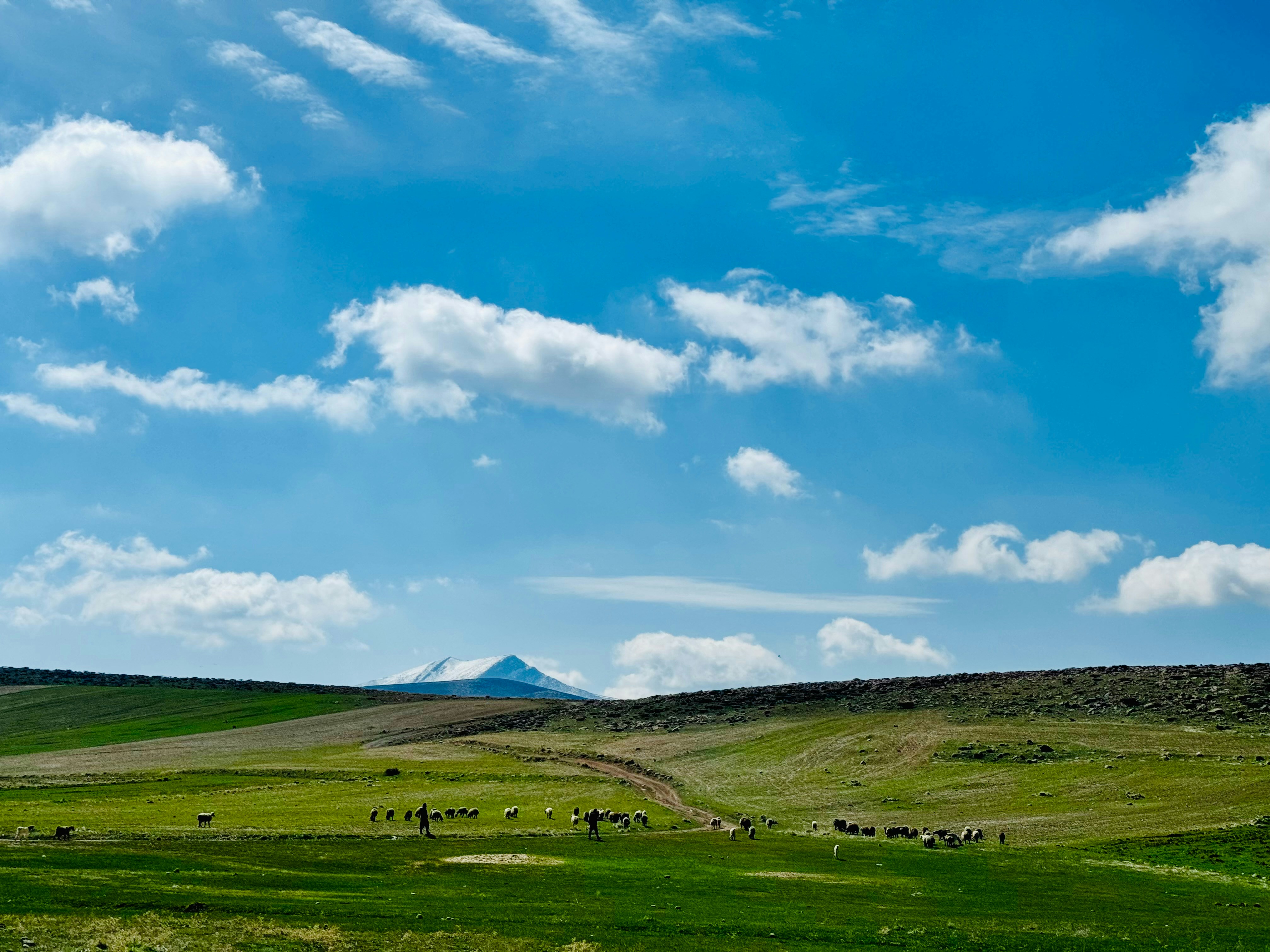 Khorramabad is a very beautiful city with kind people. I think it is the best city for those who are interested in taking pictures in nature.