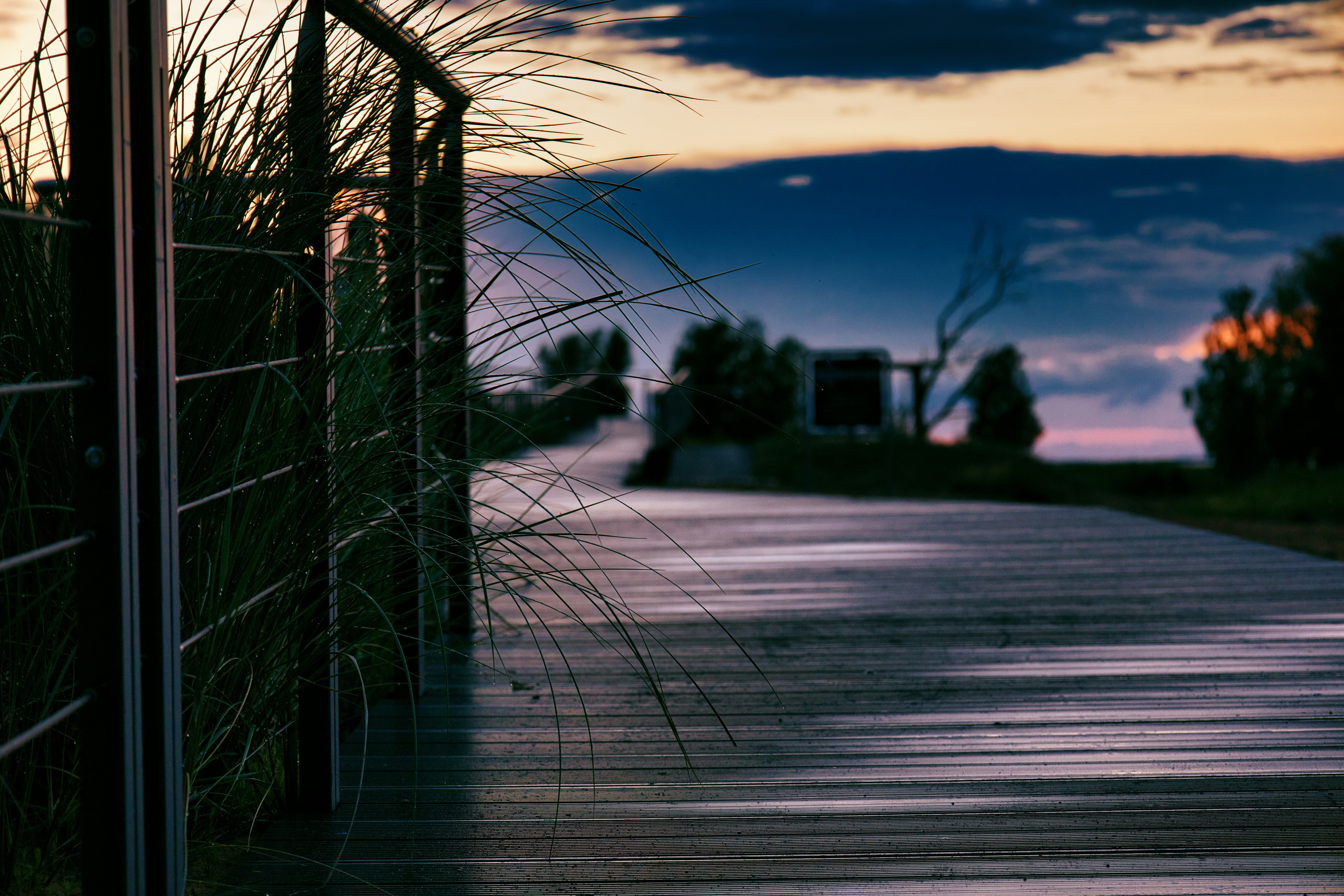 a wooden walkway leading to a grassy field