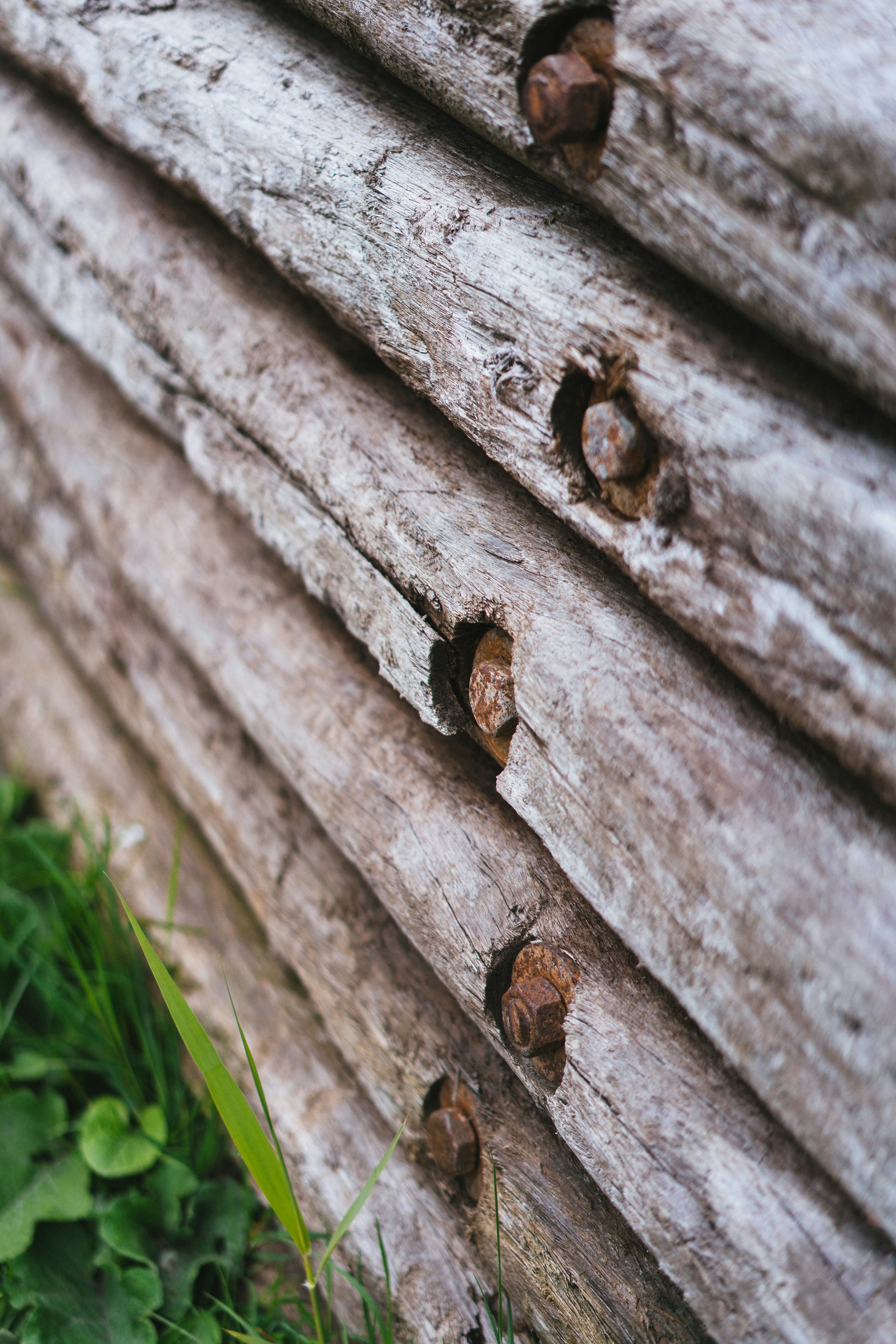 Close-up of stacked wooden logs showing intricate details of texture and natural wear. Grass peeks through at the base, adding a touch of greenery.