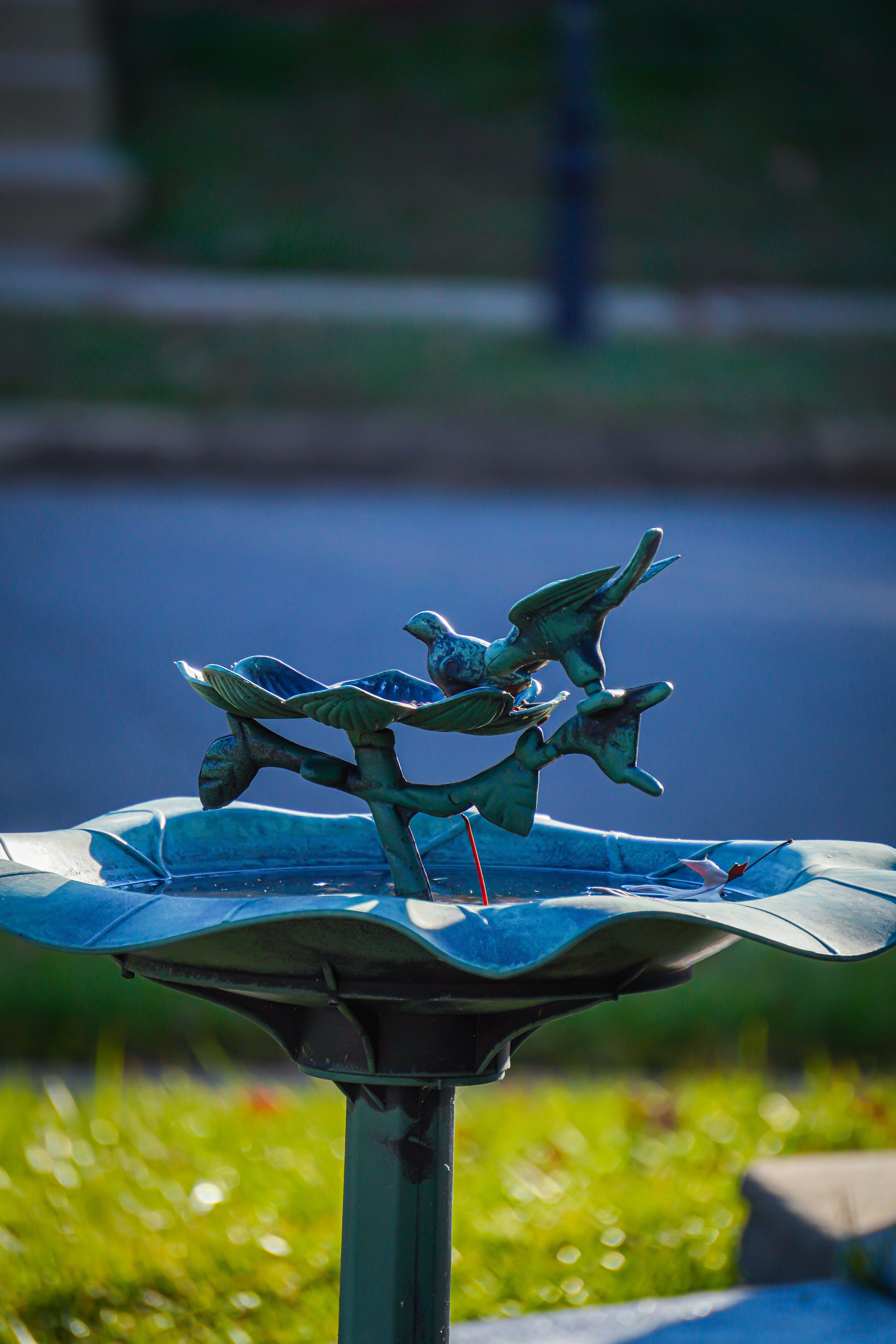 Winged Quietude: Bronze Birds Crown a Civic Fountain