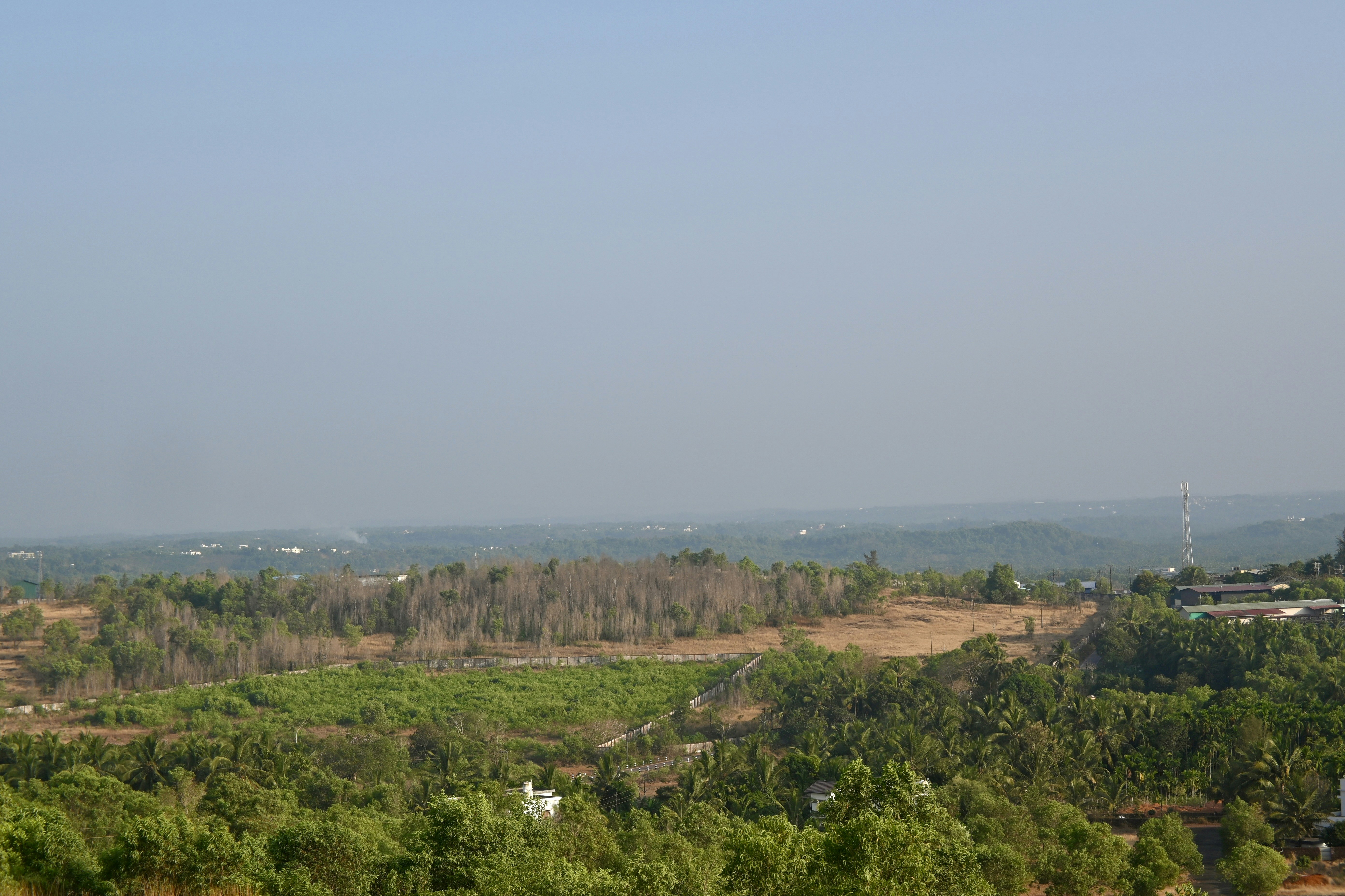 Horizon of Green: A Quiet Panorama of Fields and Distant Trees