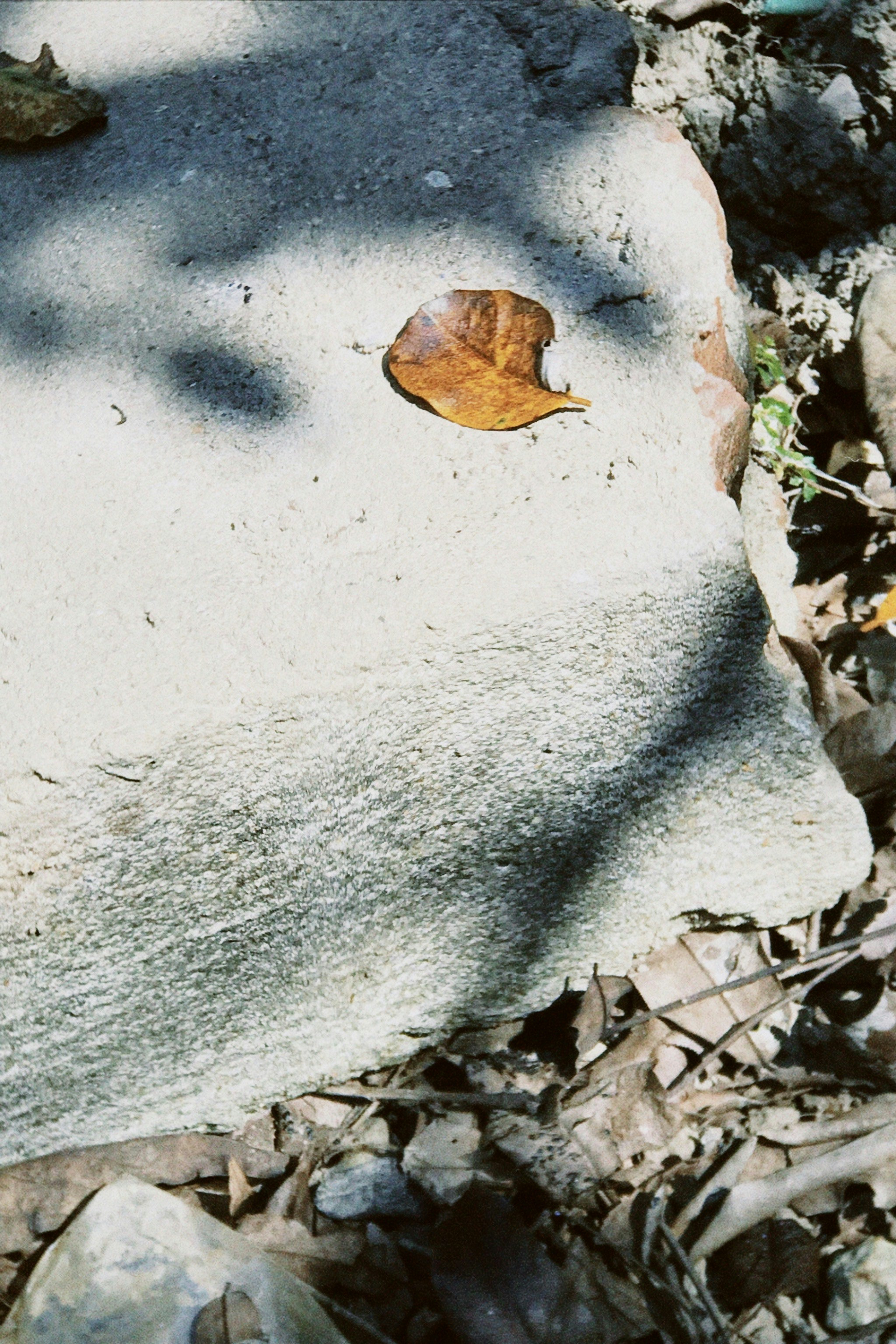Lone brown leaf on a sun-warmed rock, framed by quiet shadows