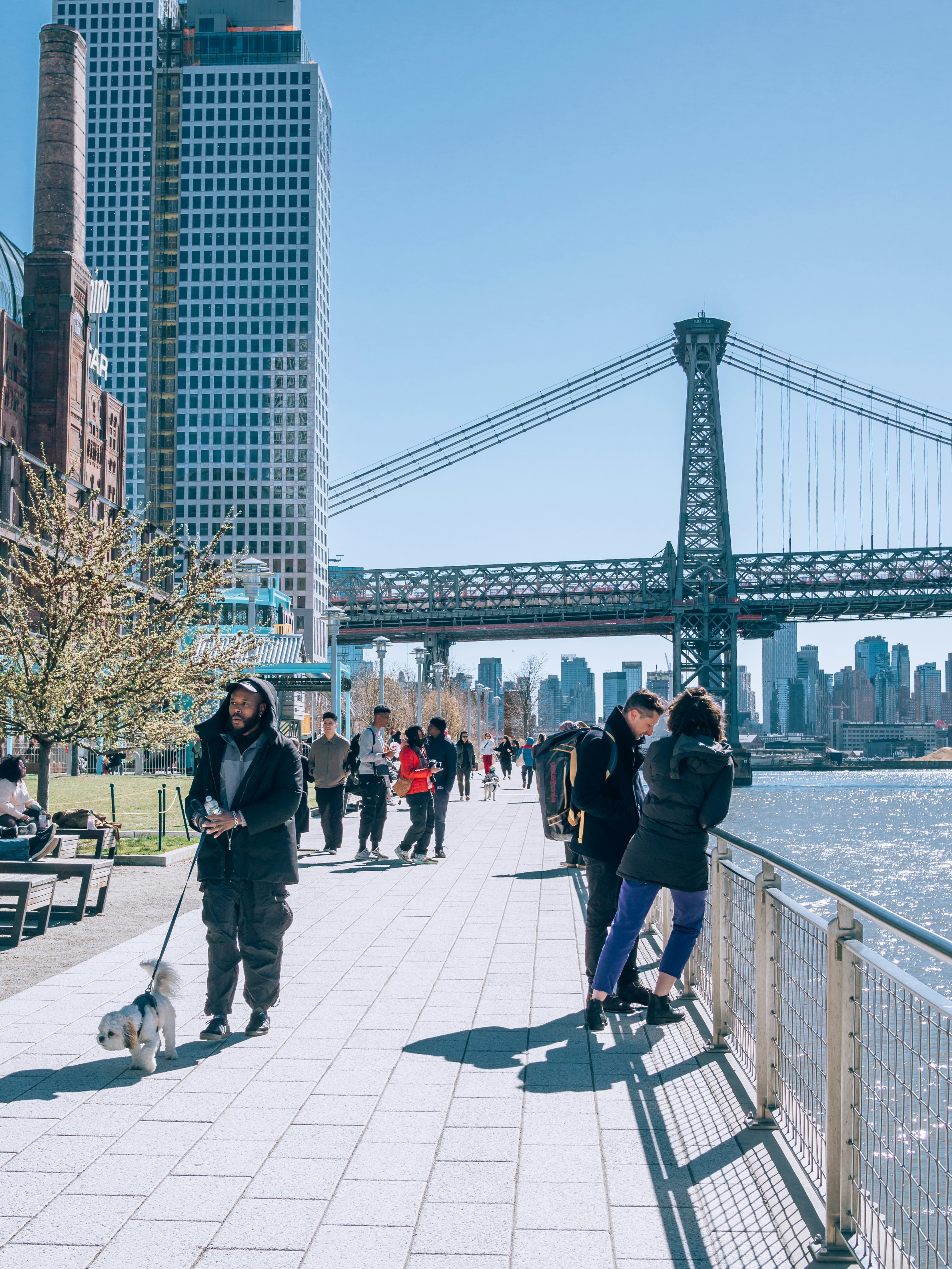 Sunlit Riverside Promenade Beneath a Steel Suspension Span