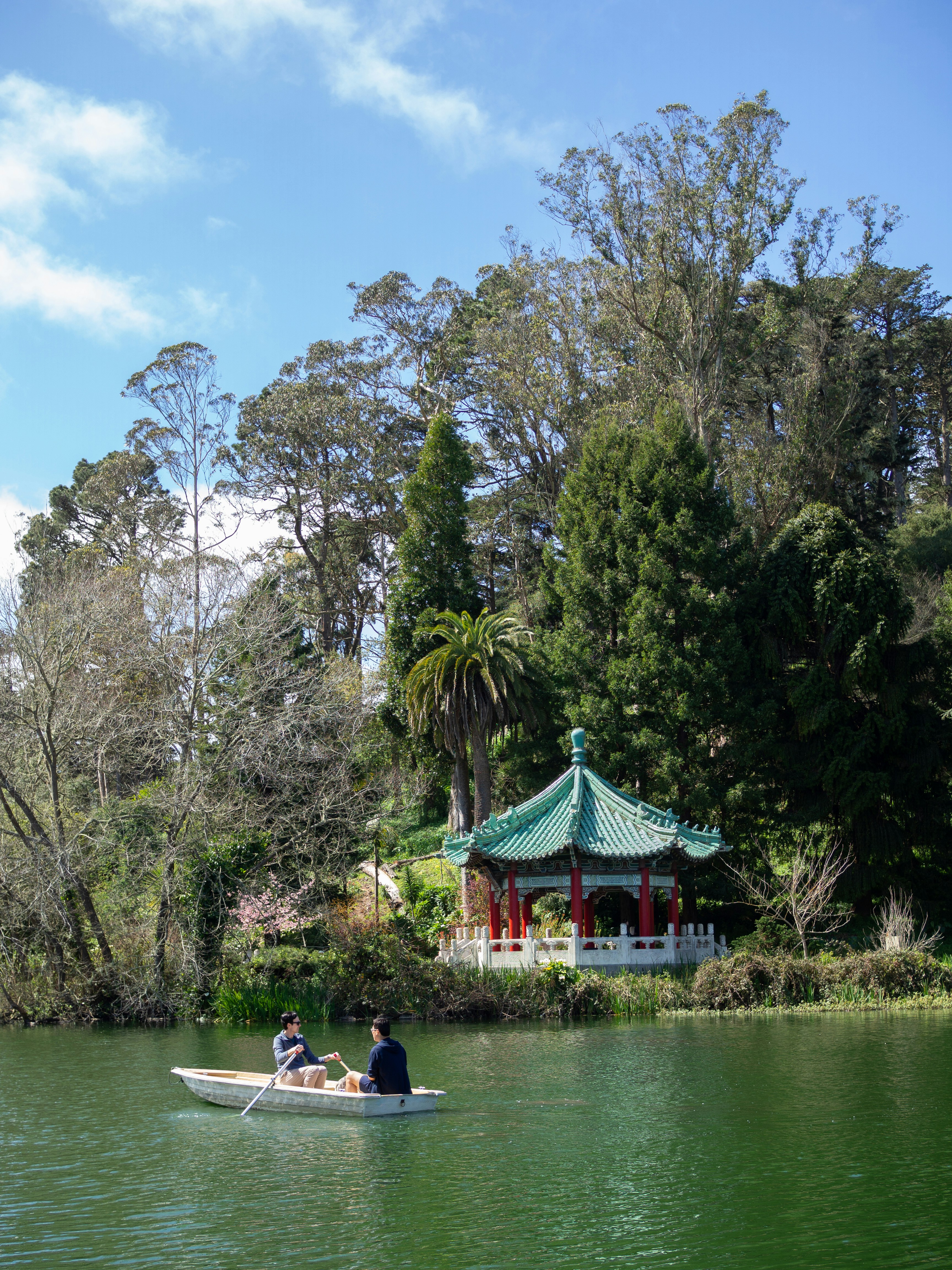 Oars Quietly Slicing Through a Green-Edged Lake