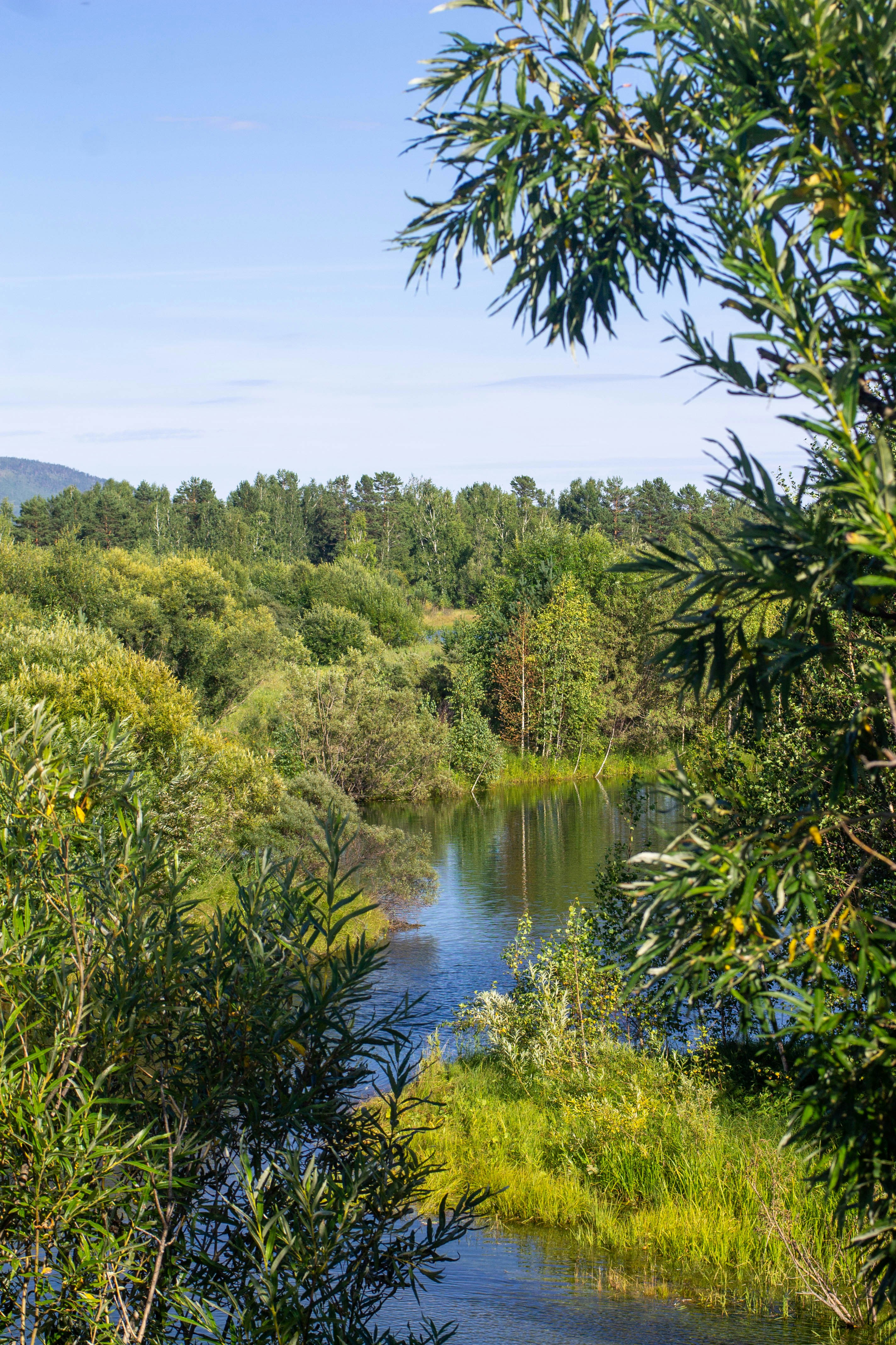 Riverside Framing: Sunlit Water Through a Green Corridor