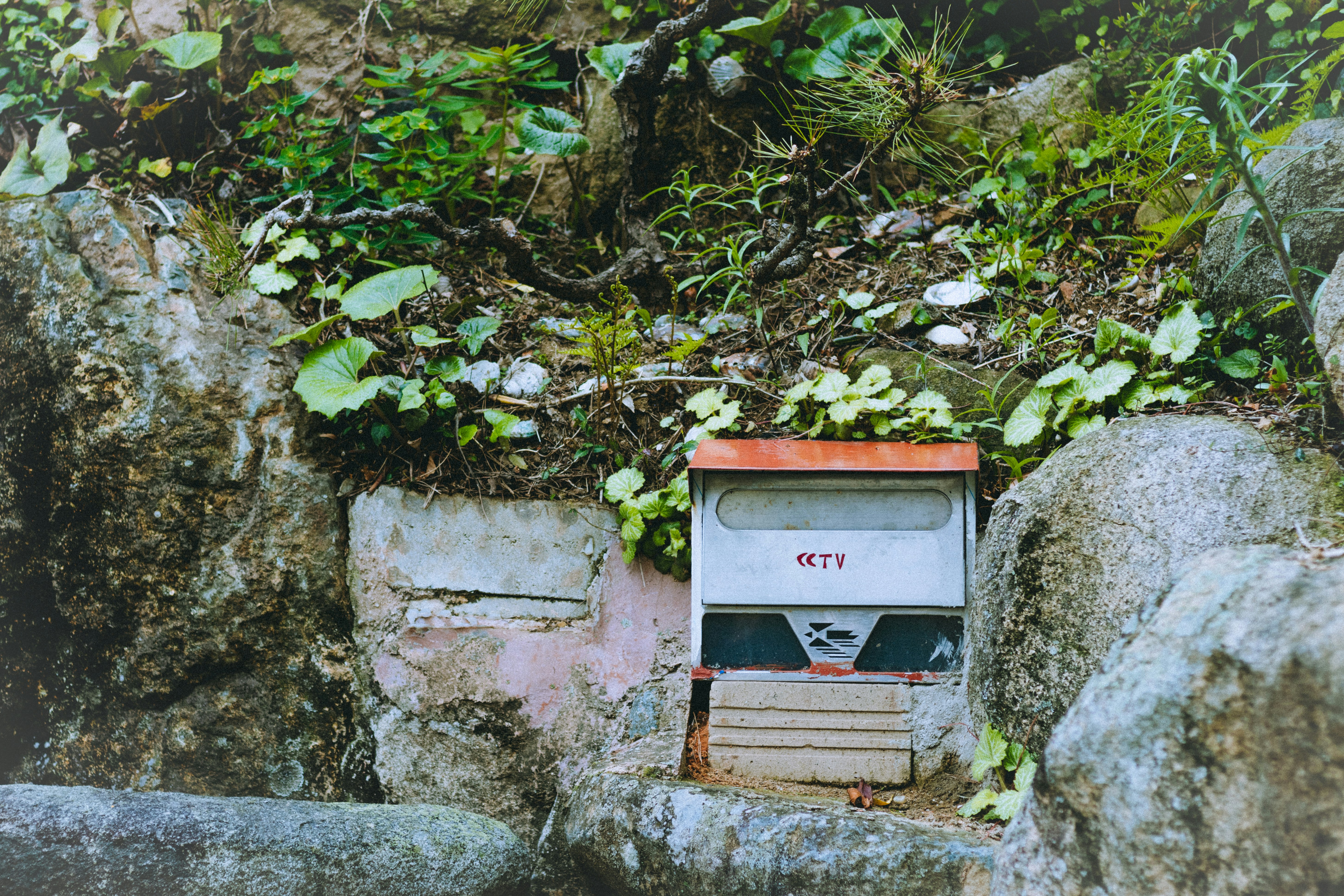 Stone Sentinel: Moss-Covered Mailbox Nestled in a Rock Garden