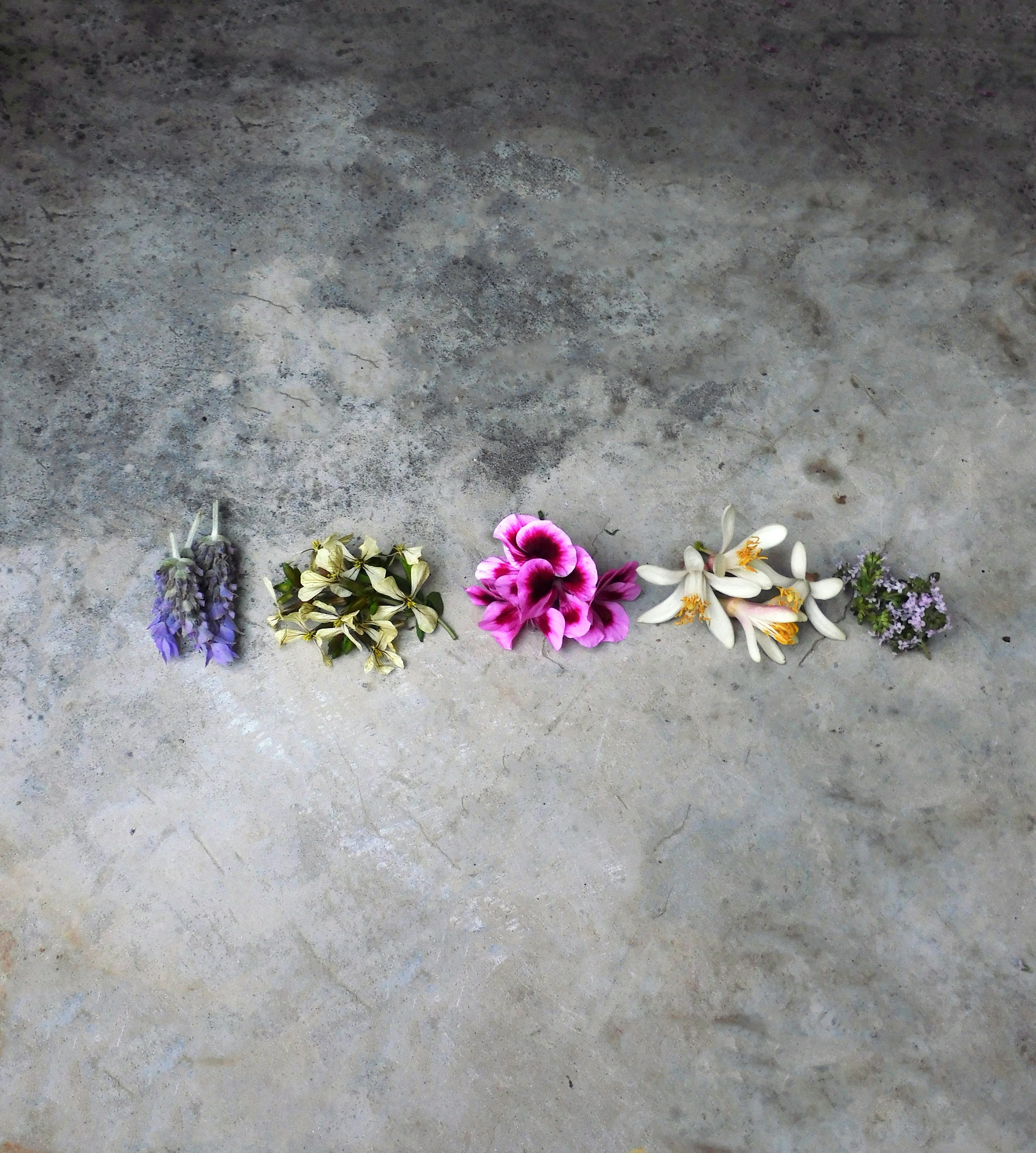 Photo by By Pils with Nikon Coolpix B600