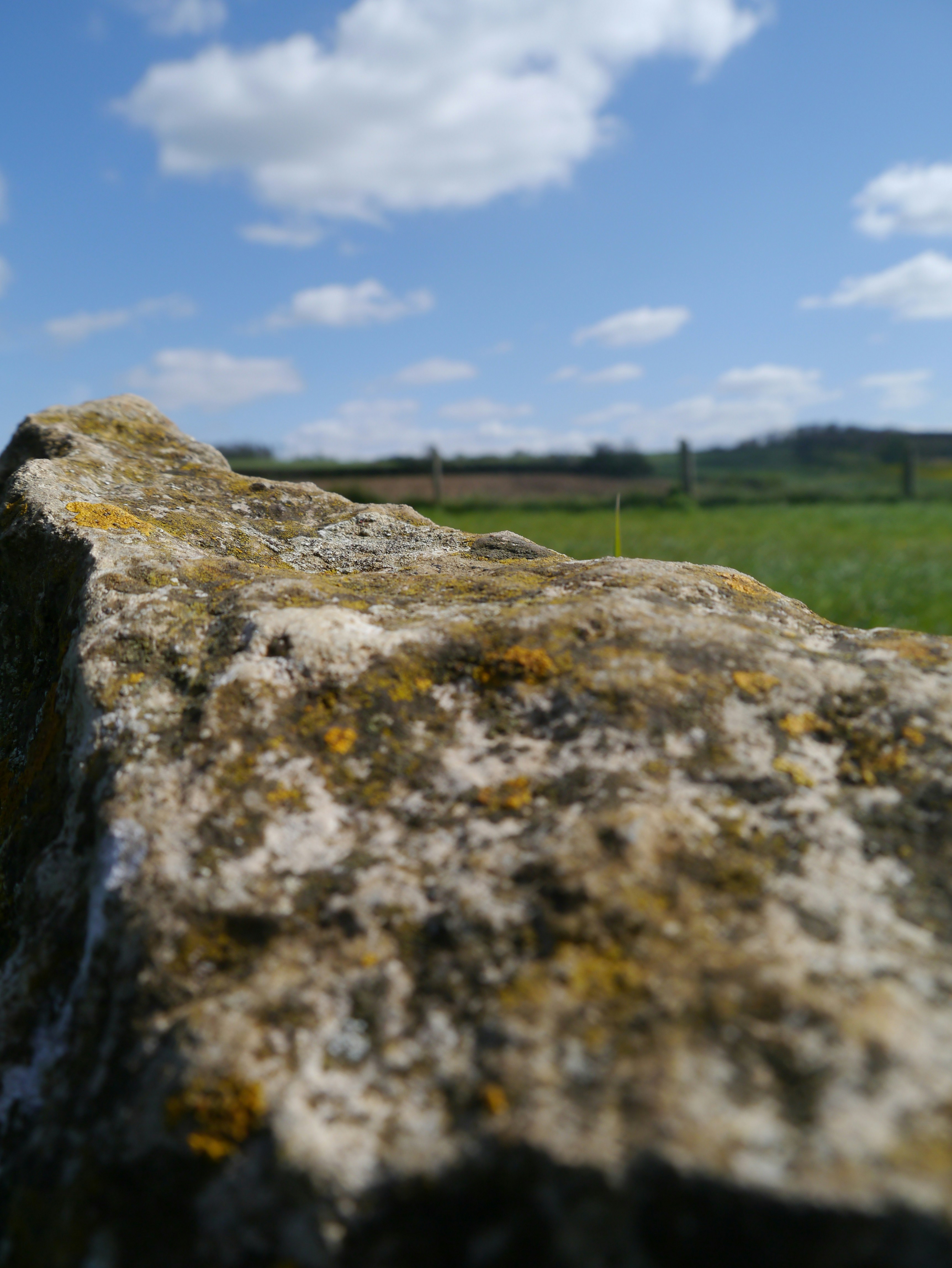 Close-up of a mossy, weathered stone wall in a sunlit rural setting with a blurred green field and blue sky in the background.