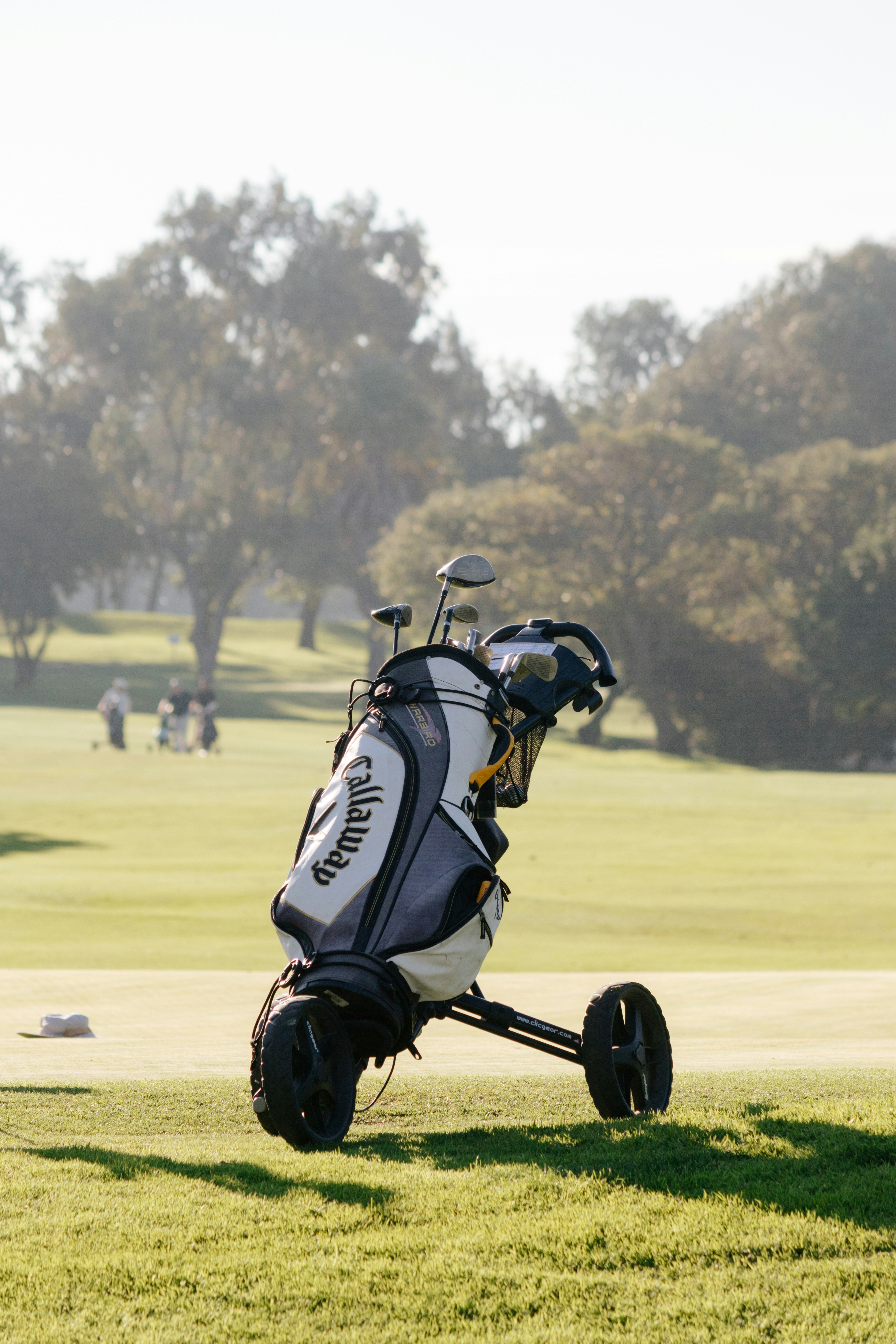 Golf bag on a cart positioned on a lush fairway under soft sunlight, with trees and golfers in the background.