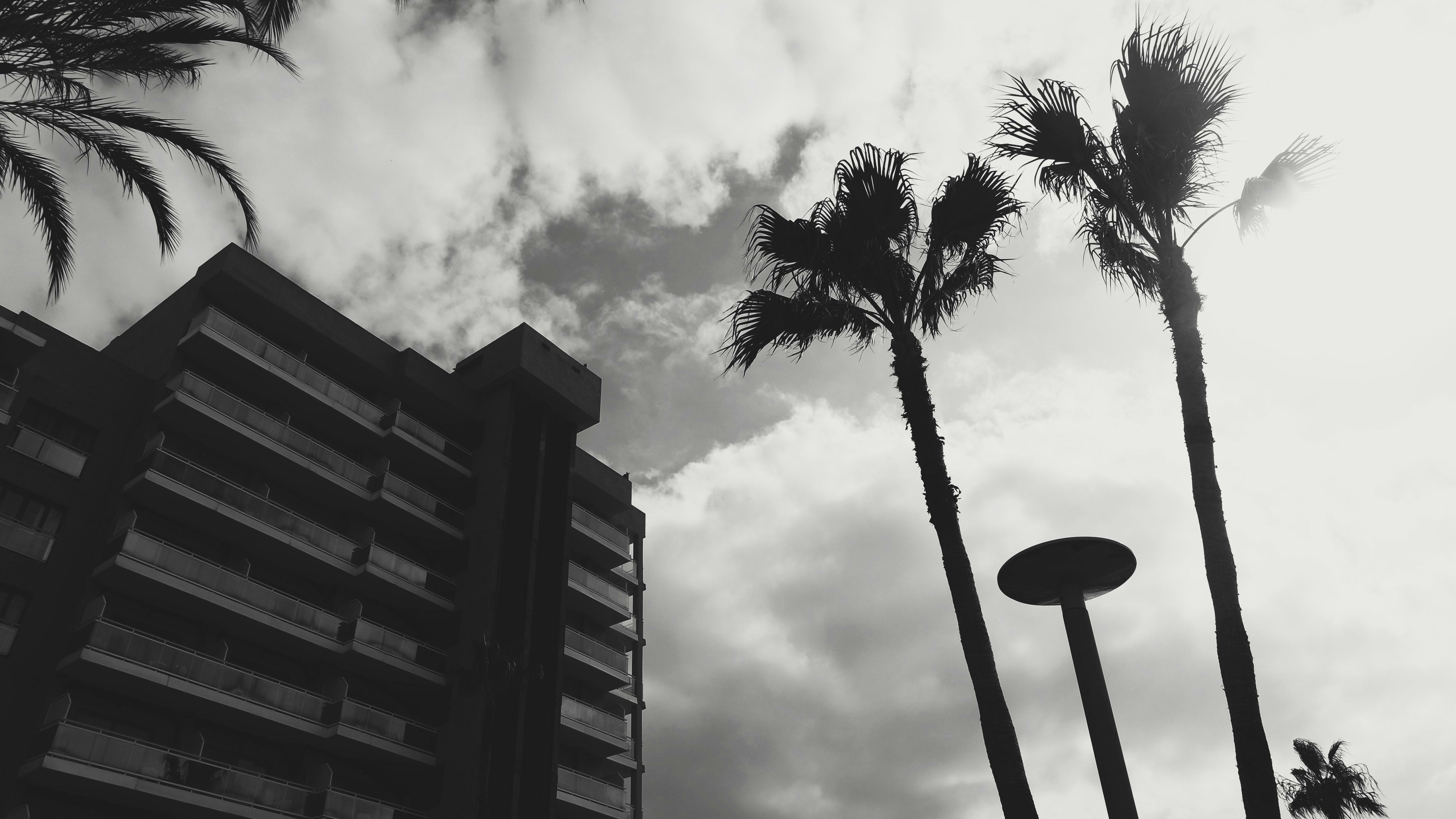 Photo by Amy W. with Samsung NX3000