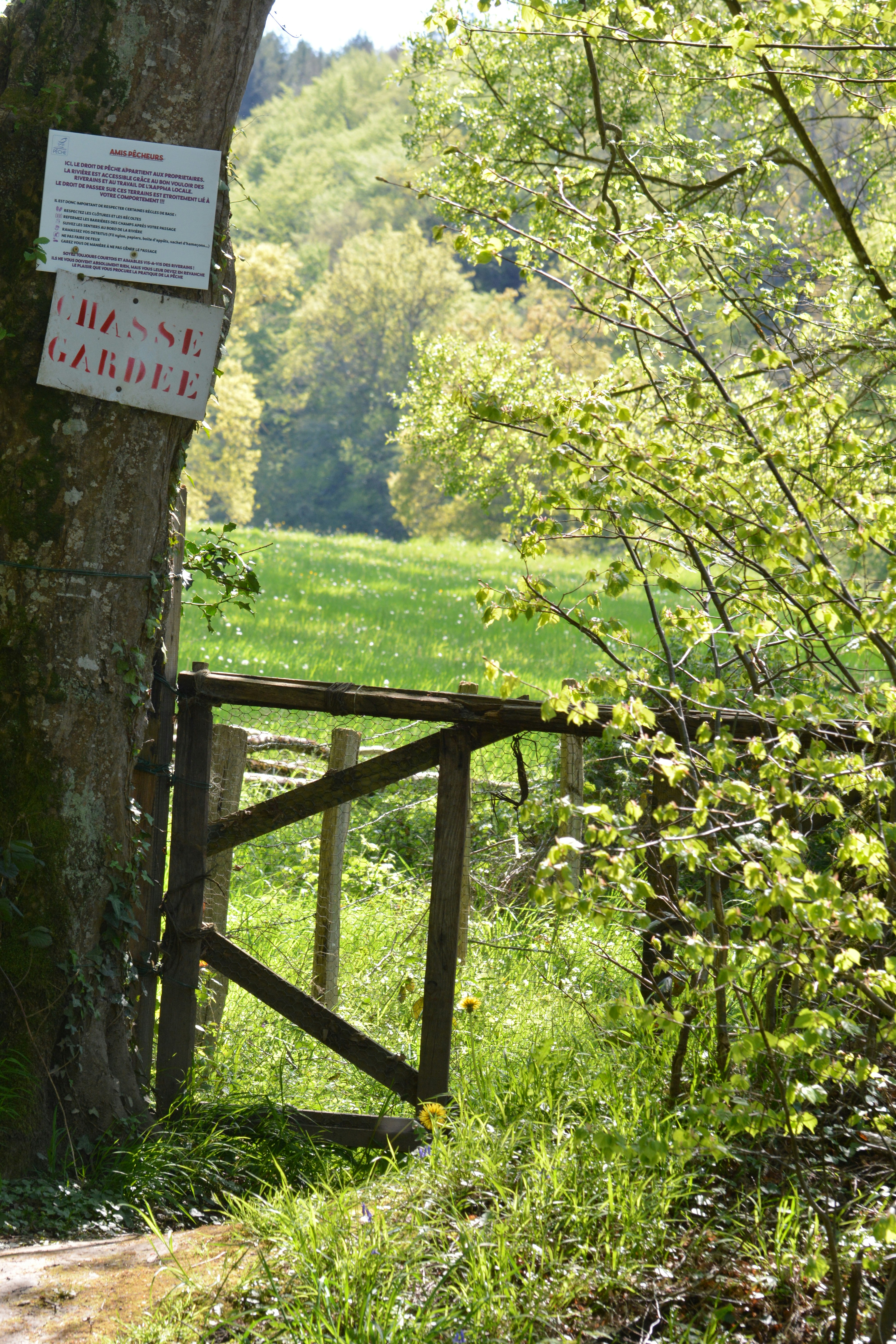 Weathered Sign and Rustic Gate Framing a Sunlit Meadow