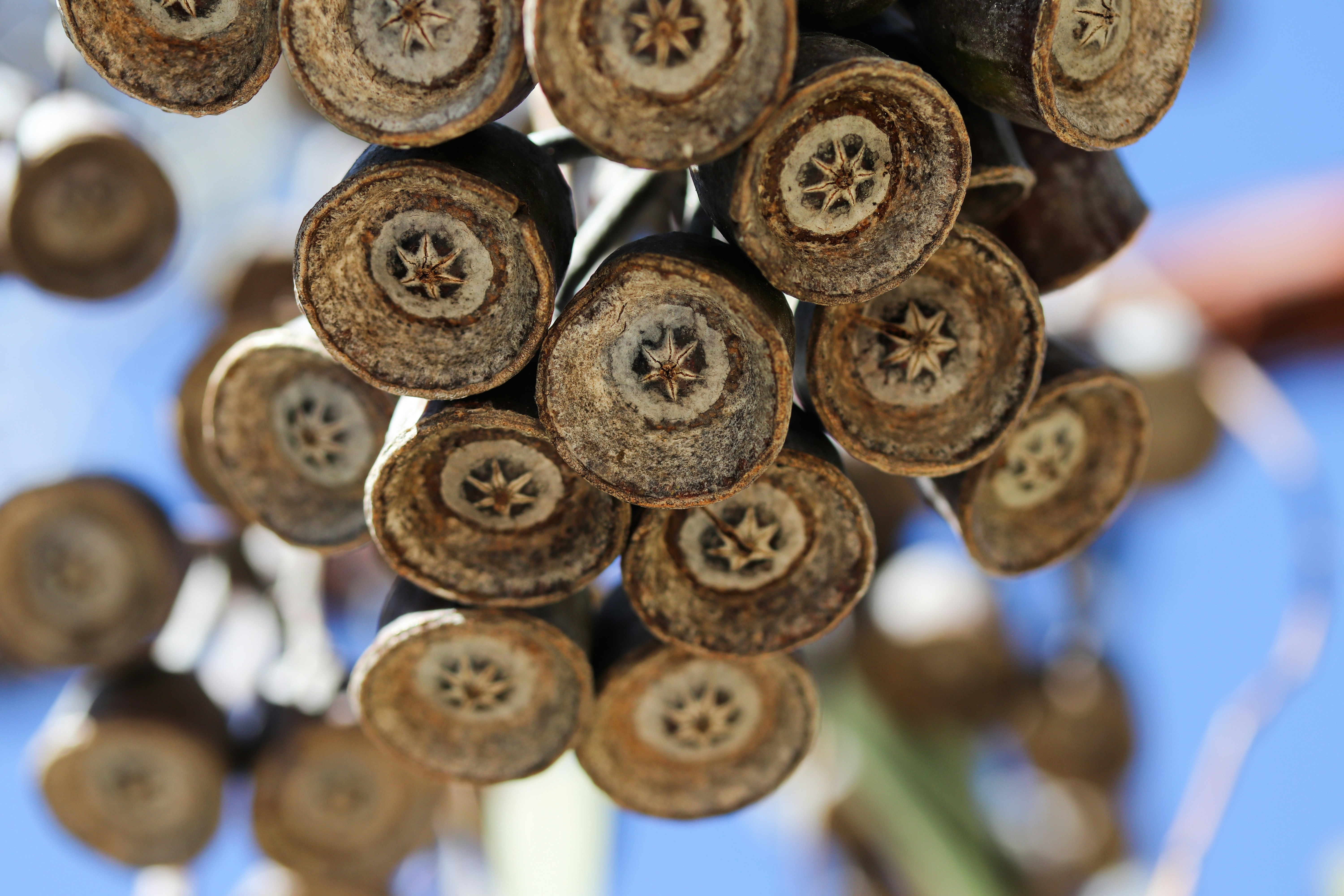 Comments - A thought replayed - by Nathan Slake - SLAKE