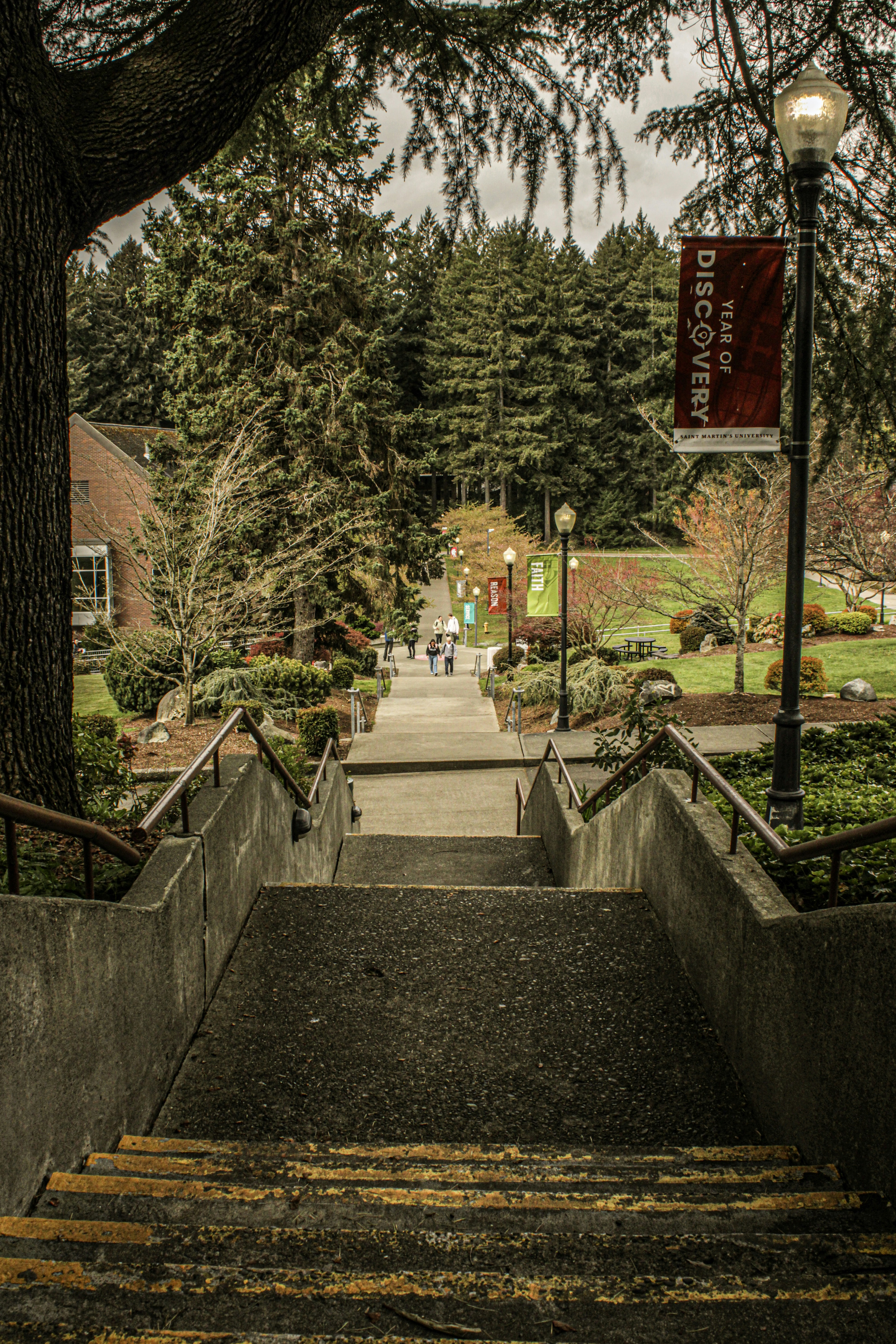 Steps Toward the Quad: A Quiet Campus Path Framed by Trees and Lanterns