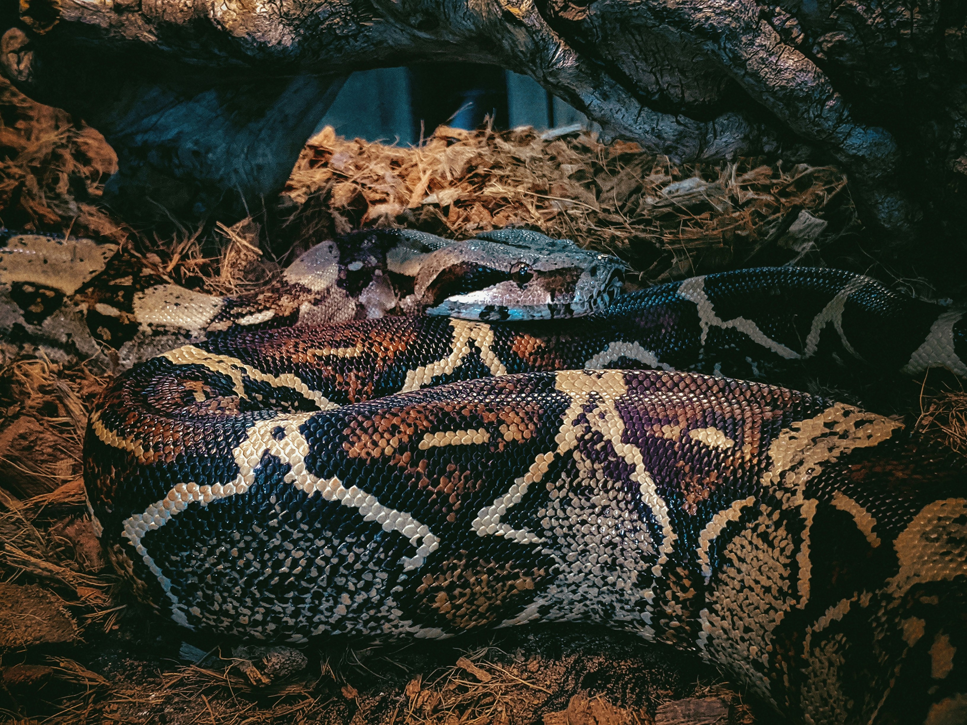 August Black (@augb) | Comunidade de fotos da Unsplash
