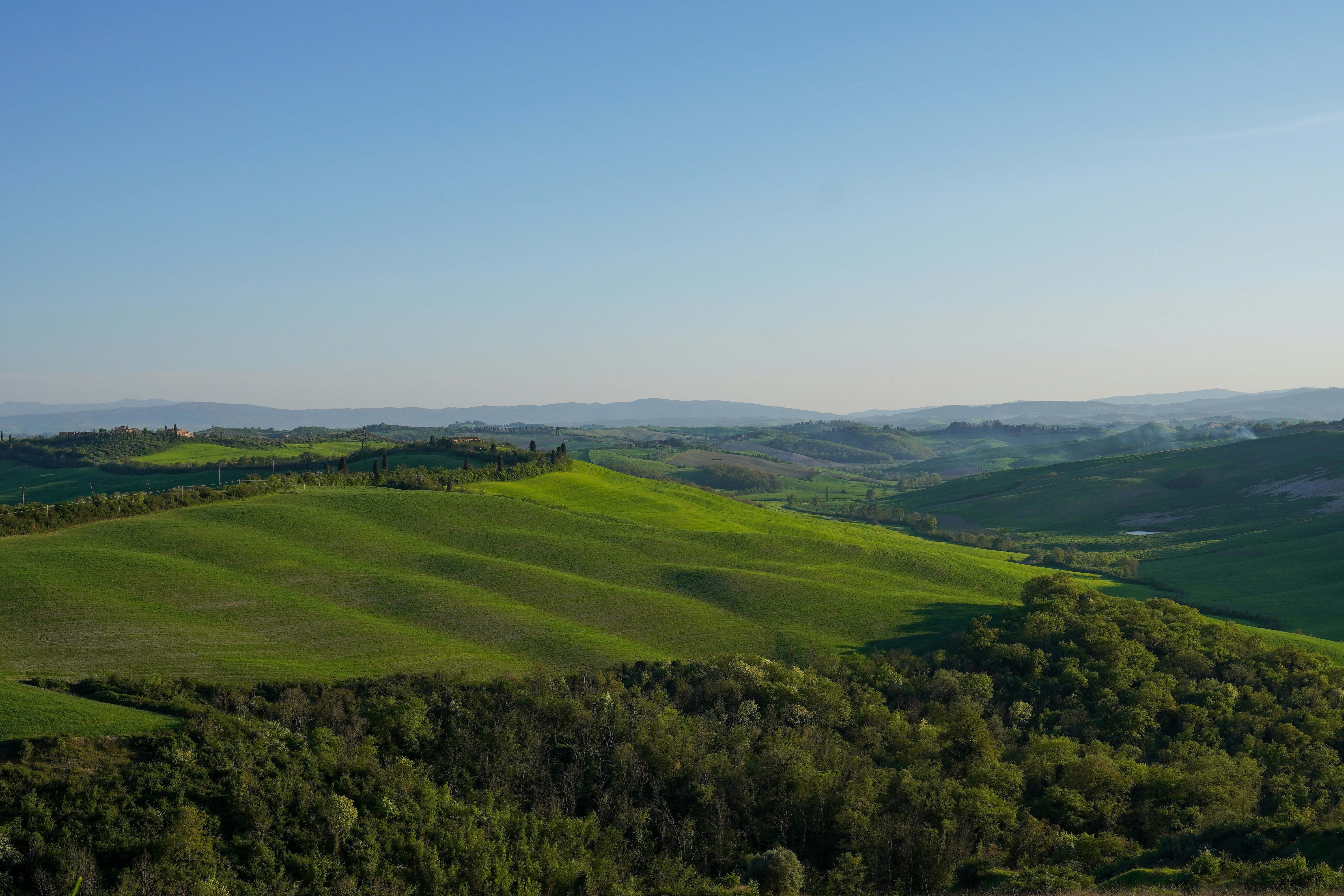 A lush green hillside with trees and hills in the background photo ...
