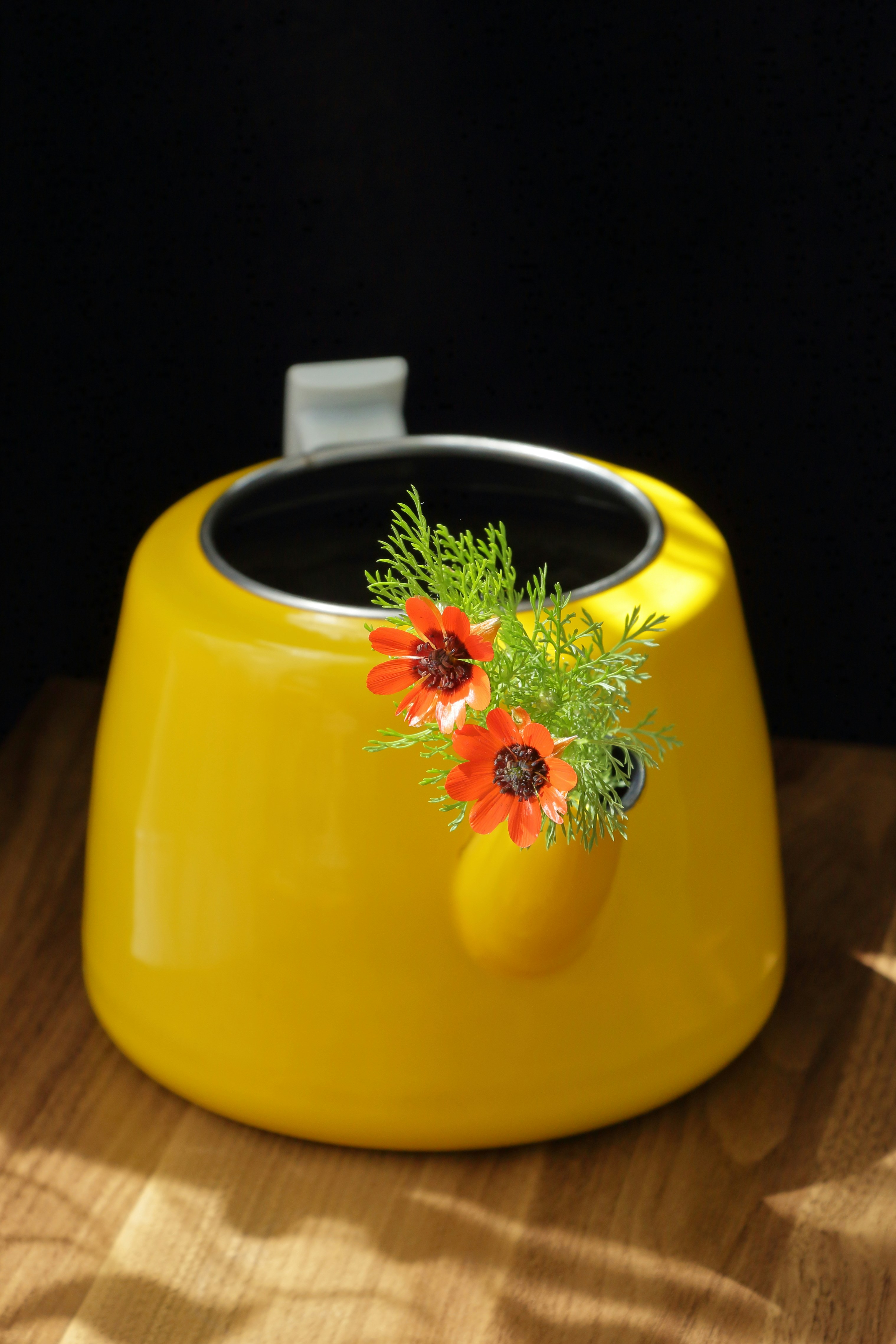 Blooming Accent in a Sunny Yellow Kettle