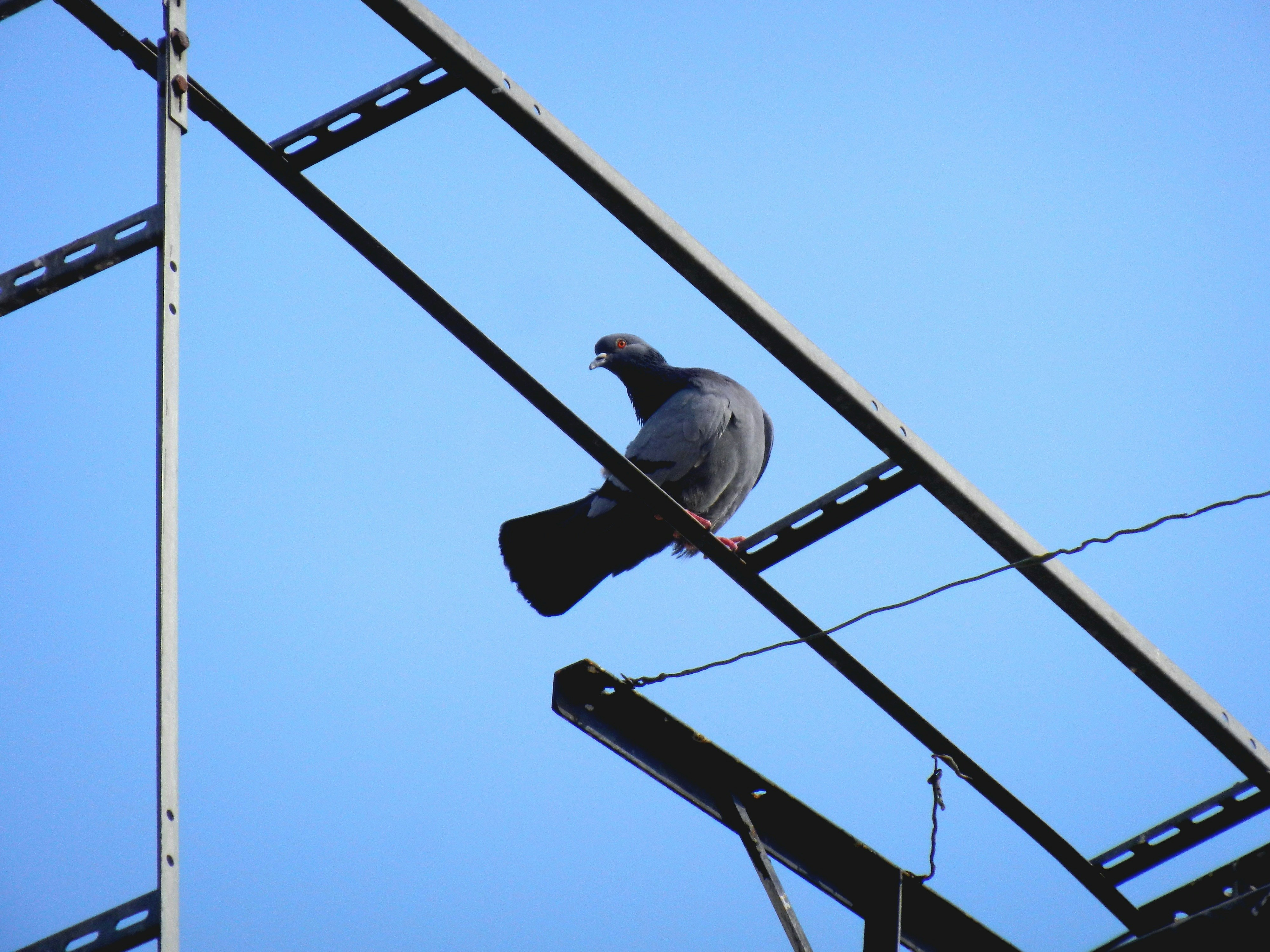 Photo by Muhammed Faizan Hussain with Nikon Coolpix S9100