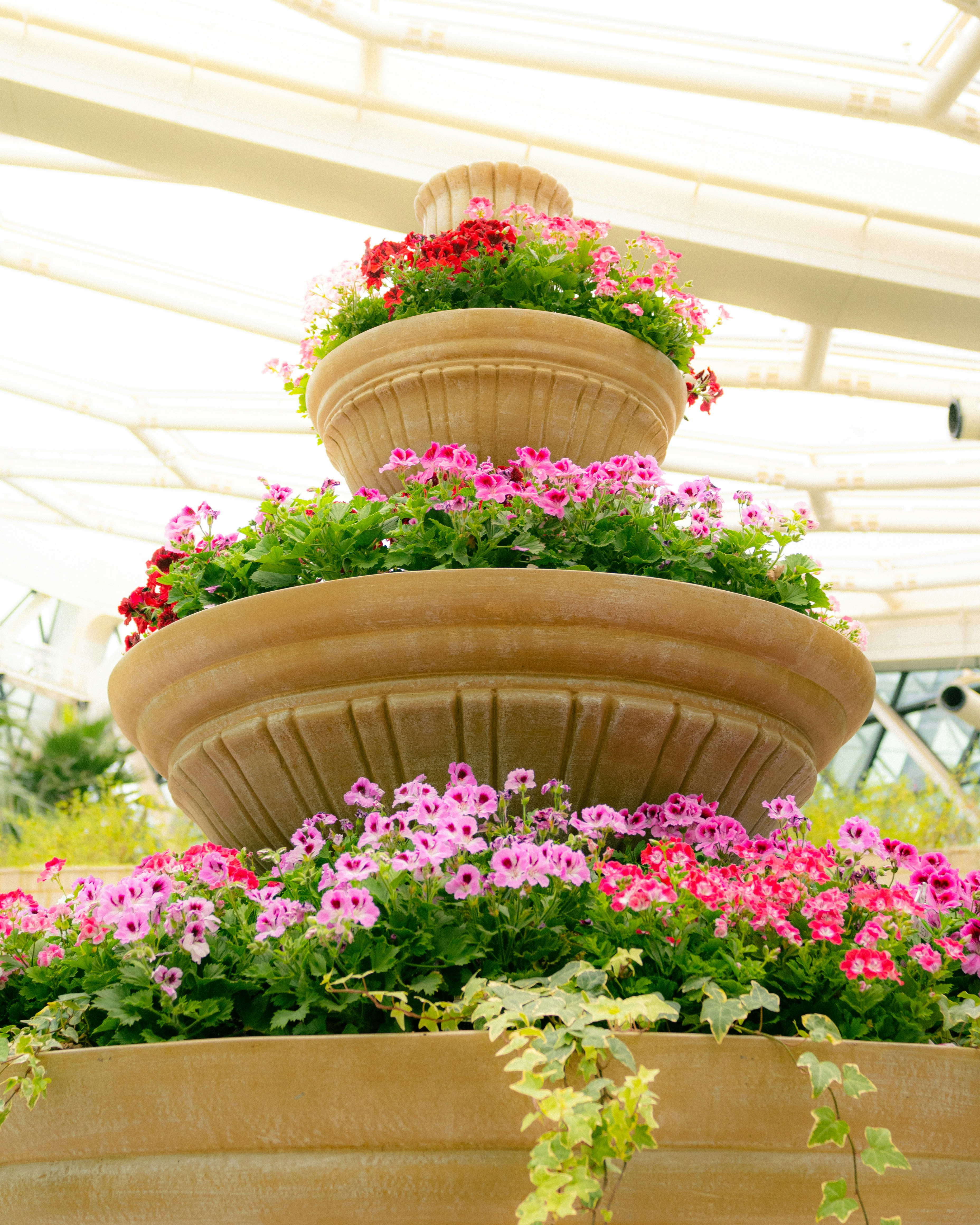 Tiered Bloom Cascade in a Glasshouse