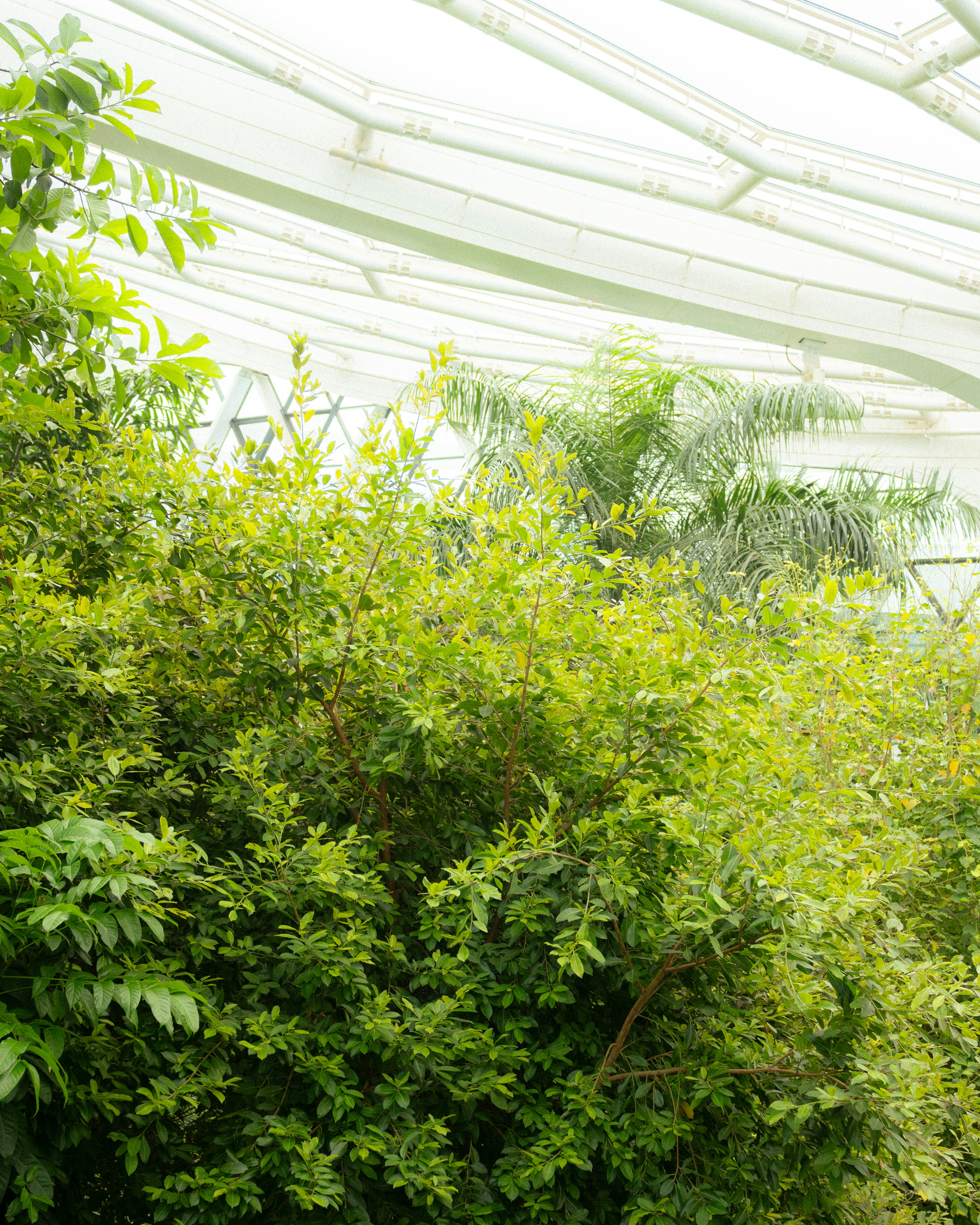 Photo by inyoung jung with Nikon Zfc