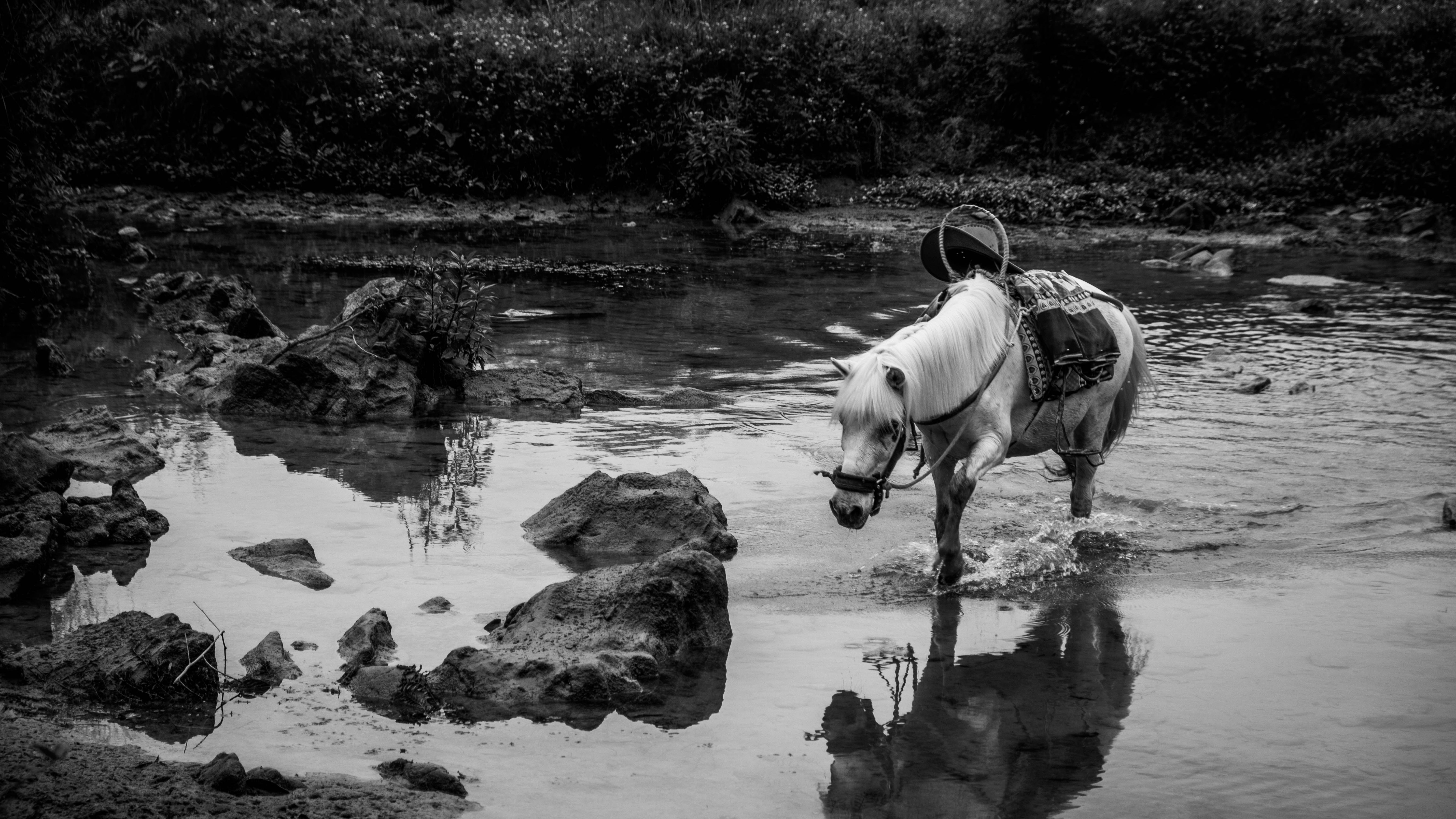 Photo by Nguyễn Hiệp with Fujifilm X-T3