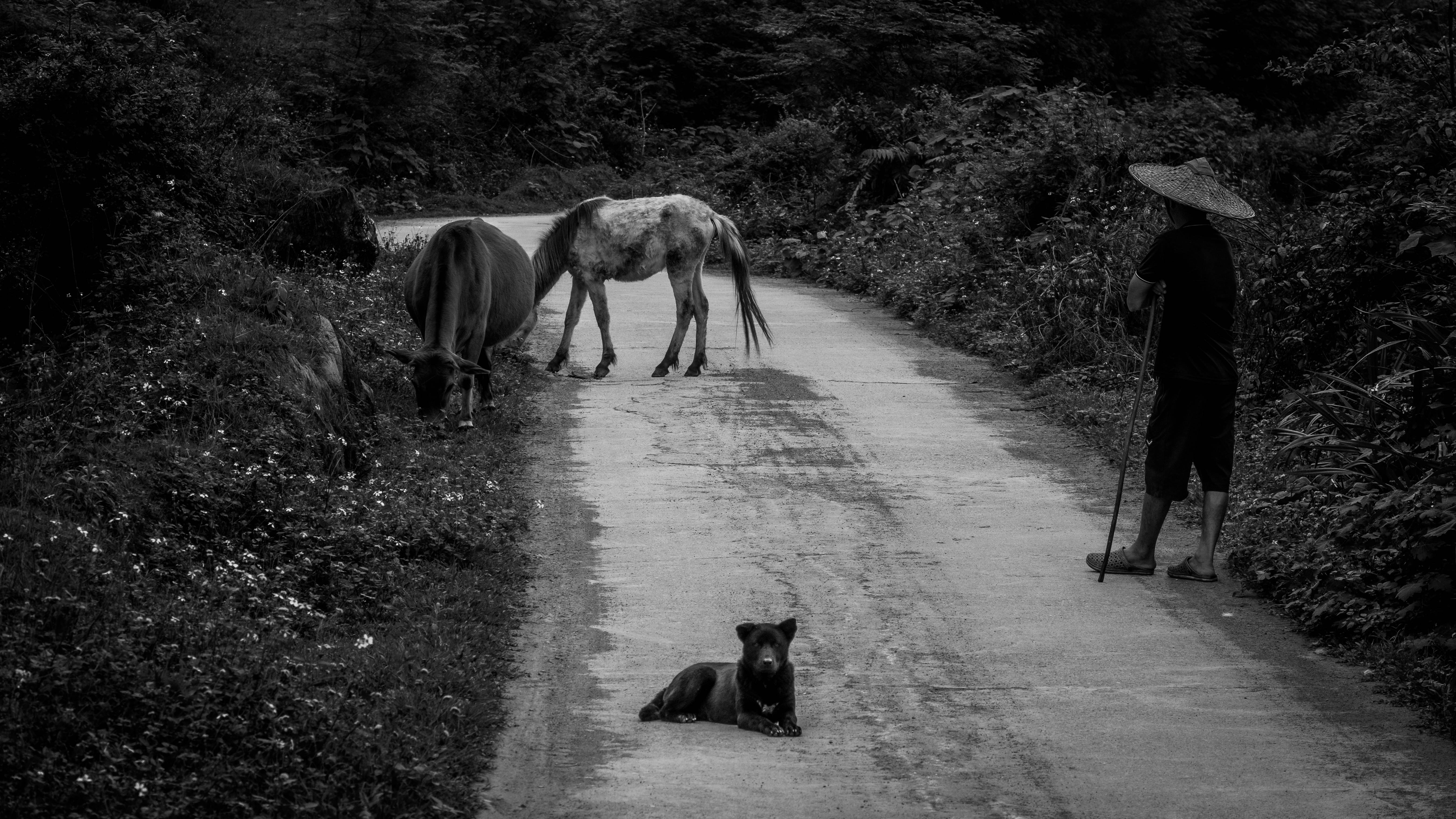 Photo by Nguyễn Hiệp with Fujifilm X-T3