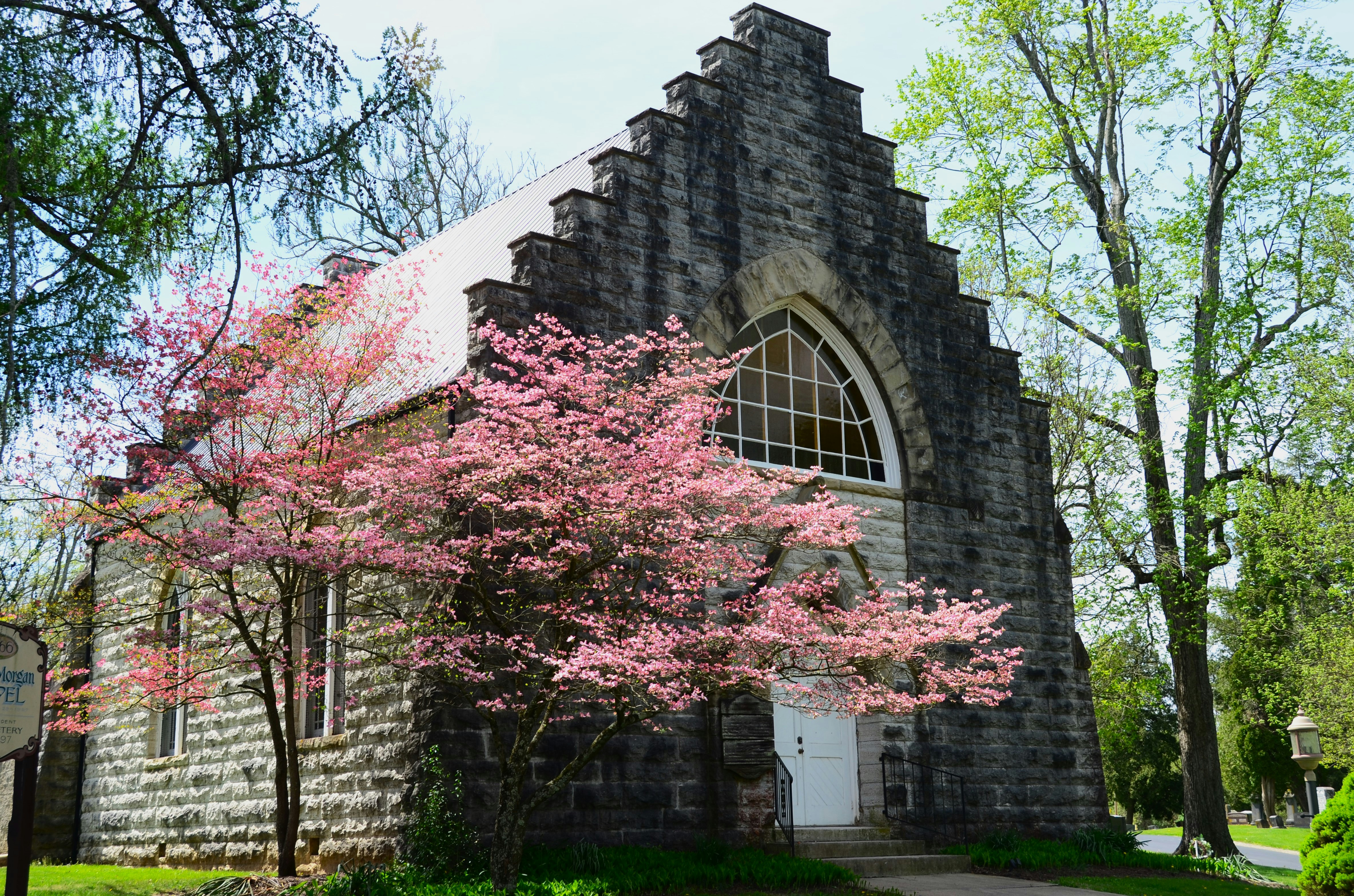Arched Window in Bloom: A Stone Chapel Framed by Spring Cherry Blossoms