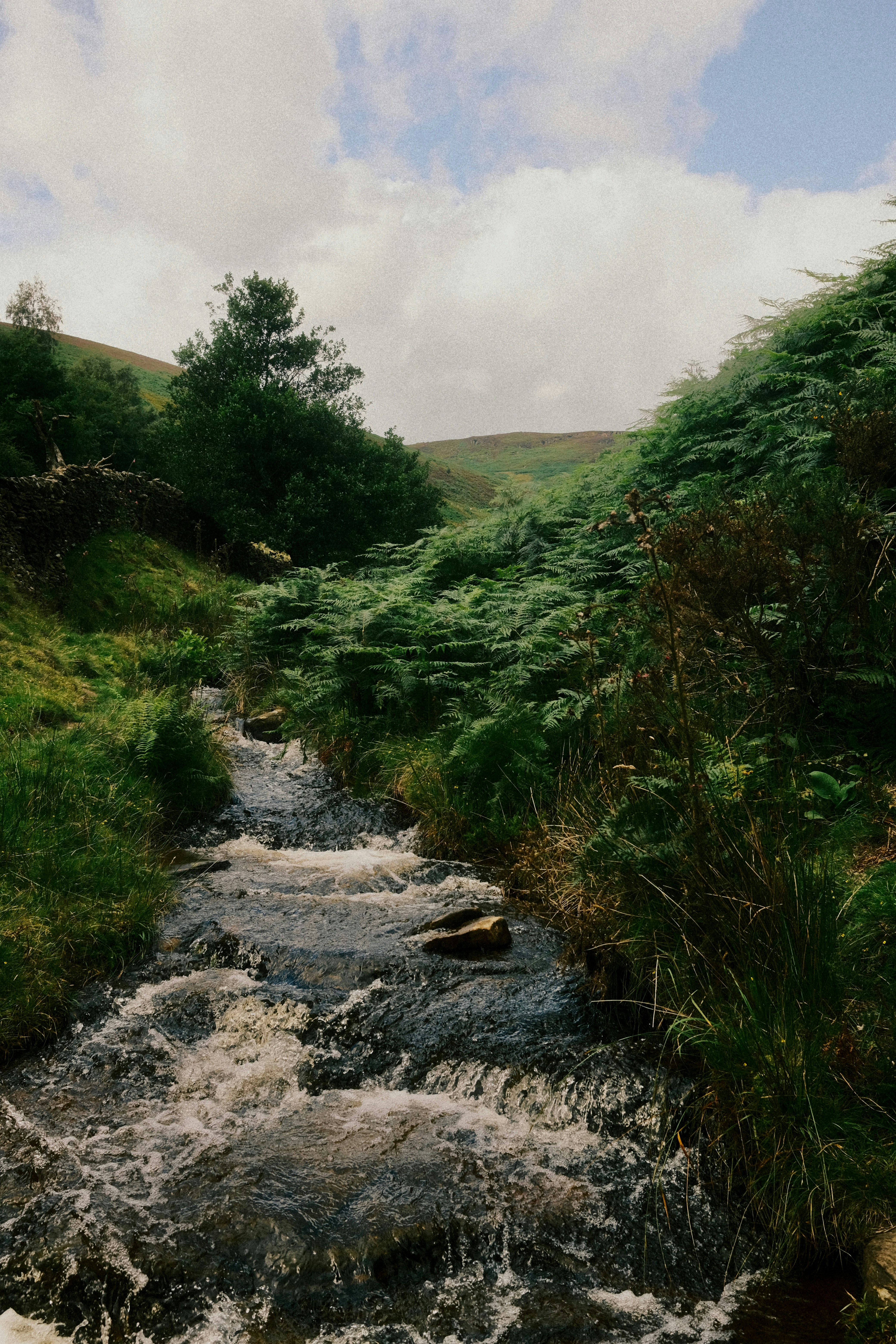 A stream running through a lush green hillside photo – Free United ...