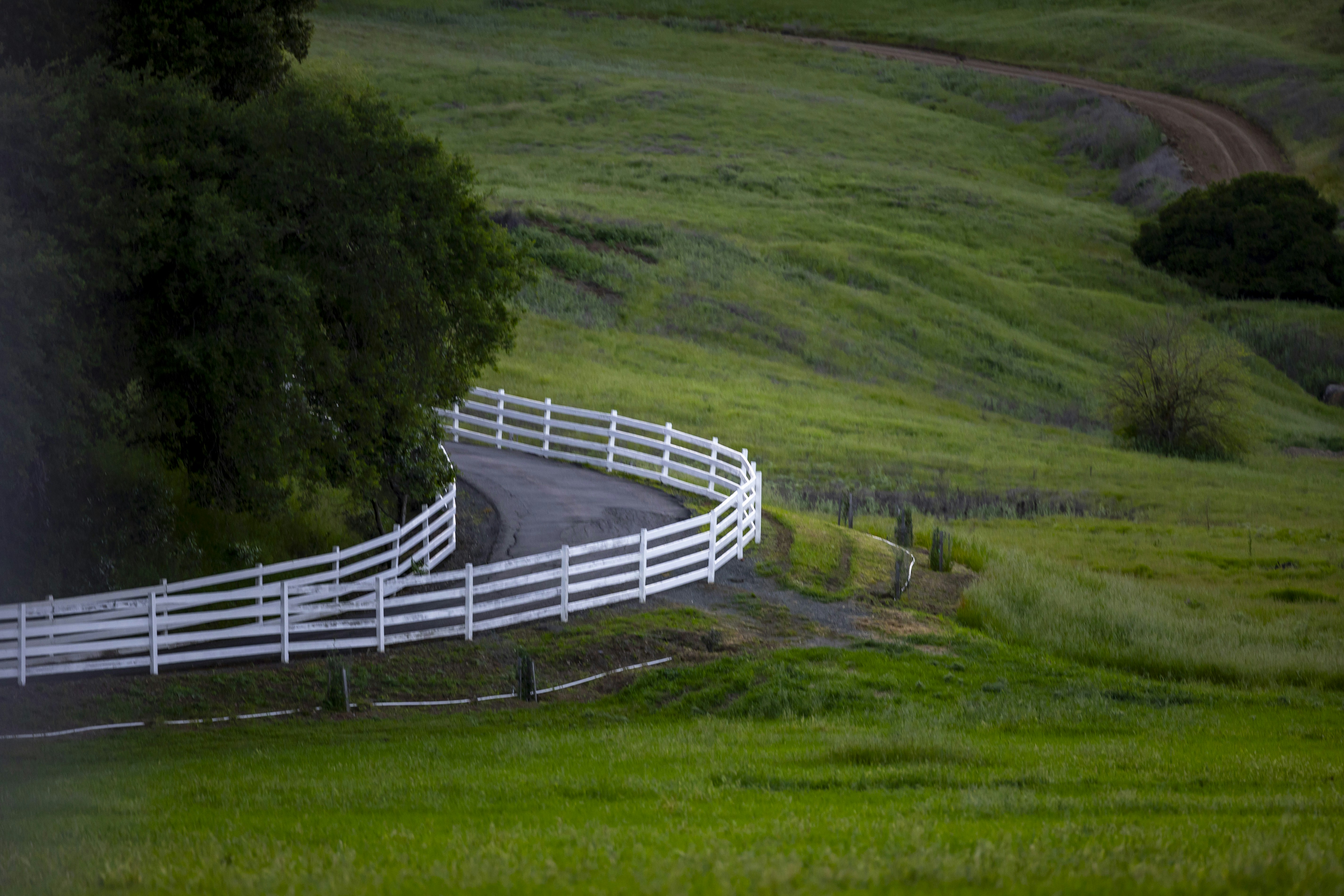 Winding road curves through emerald pastures bordered by a white wooden fence. Soft, diffuse light emphasizes the lush greens and the tranquil rural mood.