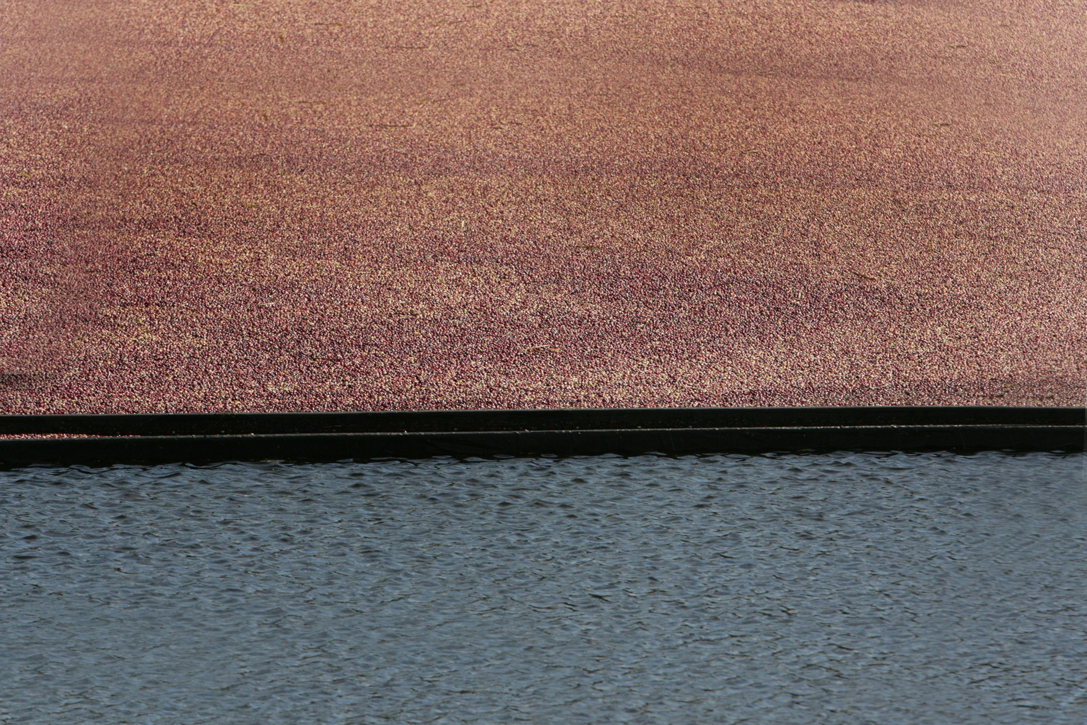 Horizon Cut: A Quiet Line Between Rust and Sea