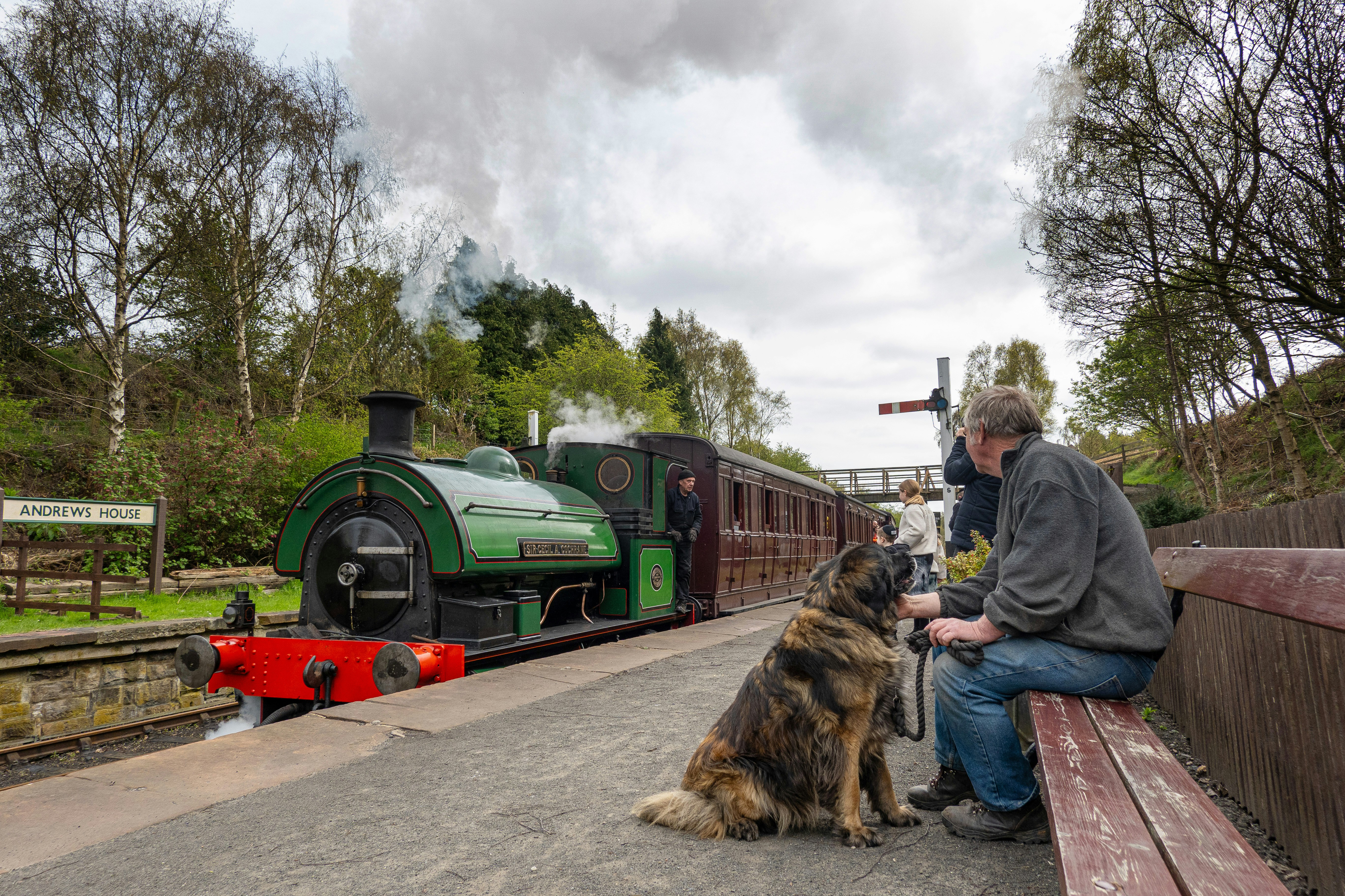 A steam locomotive stands at a quaint station while a man interacts with a dog on a bench. The scene captures a moment of connection amidst the historical backdrop.