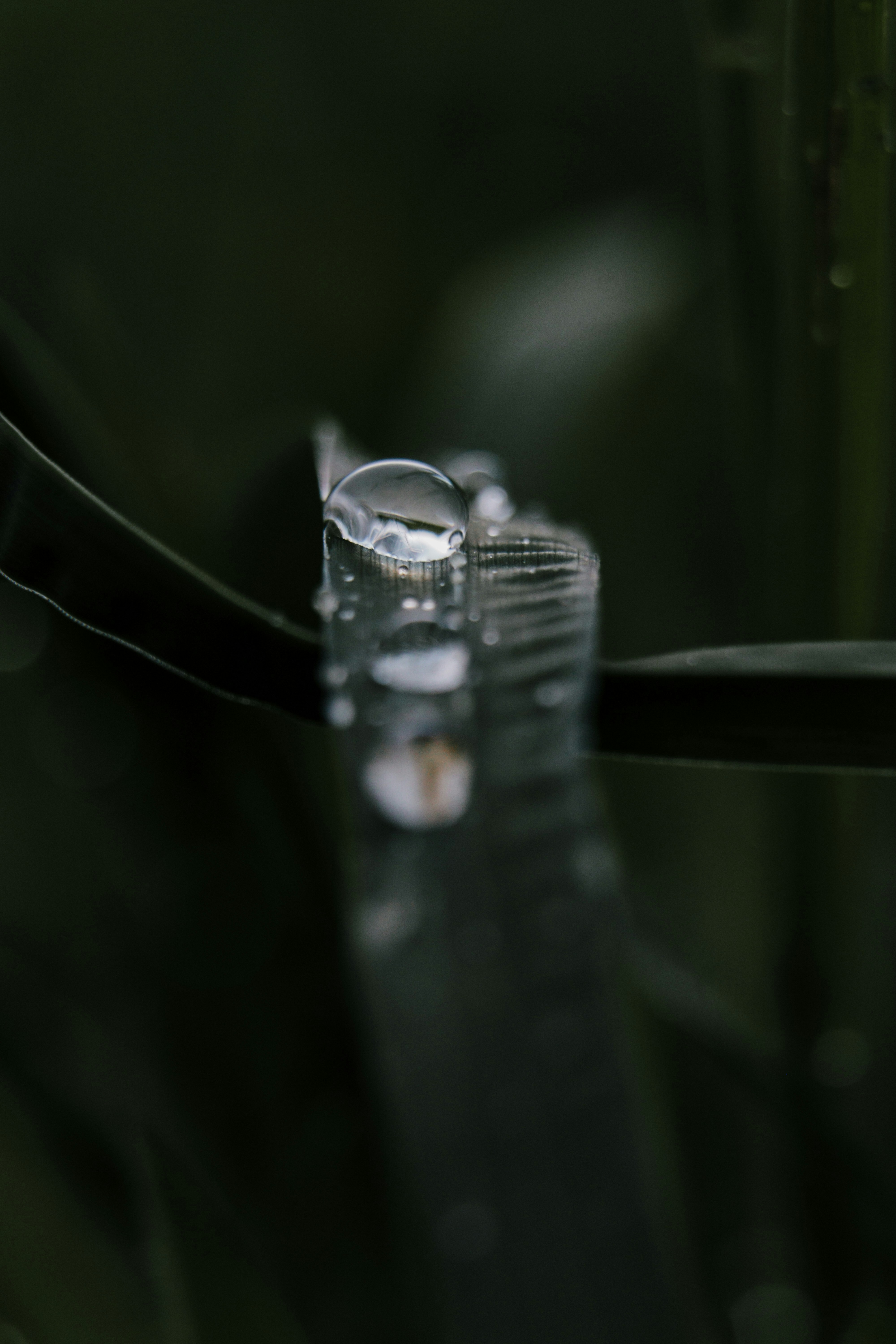 A close up of a water drop on a blade of grass photo – Free Green ...