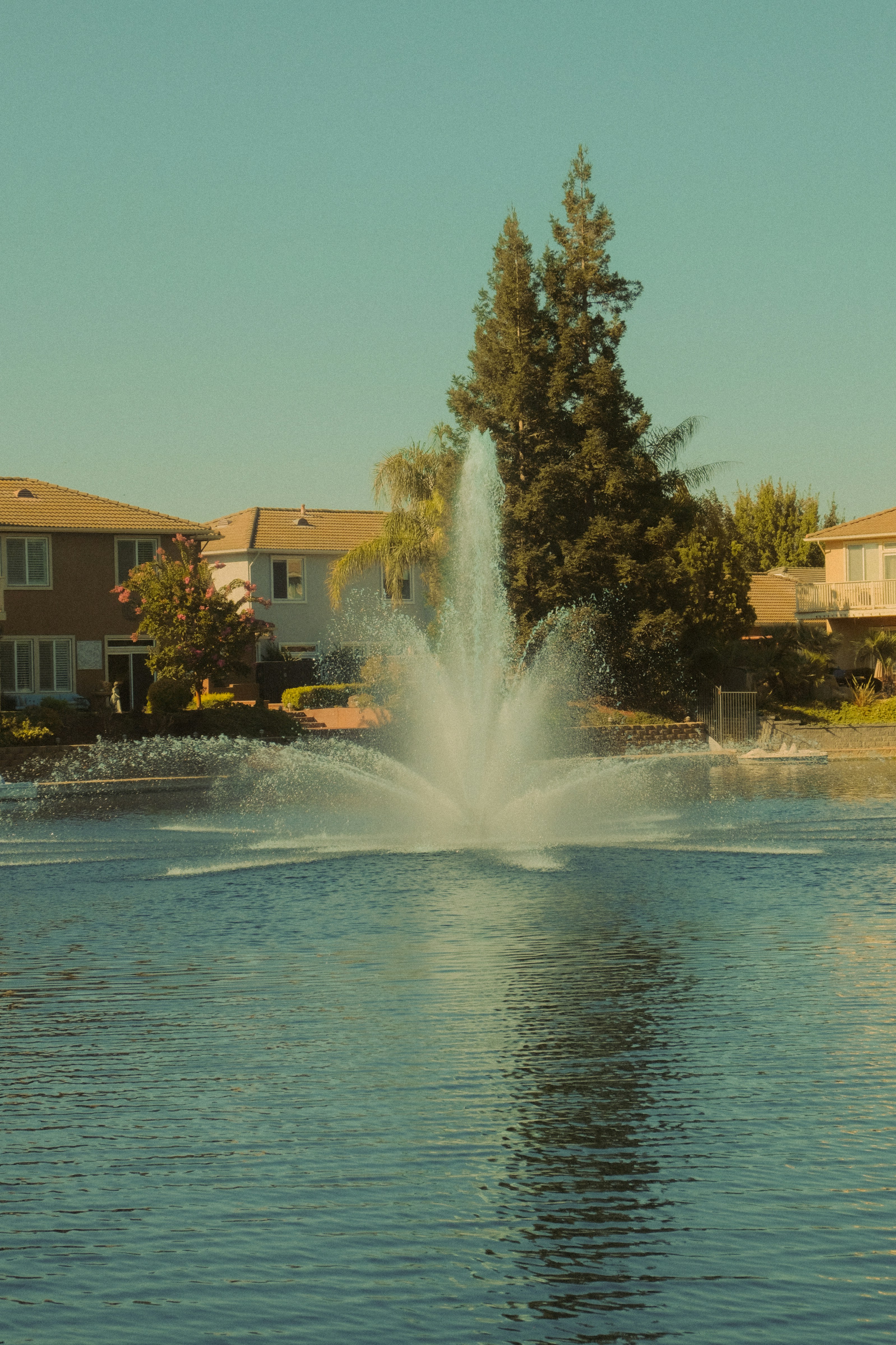 A water fountain spewing water into a lake photo – Free Forest Image on ...