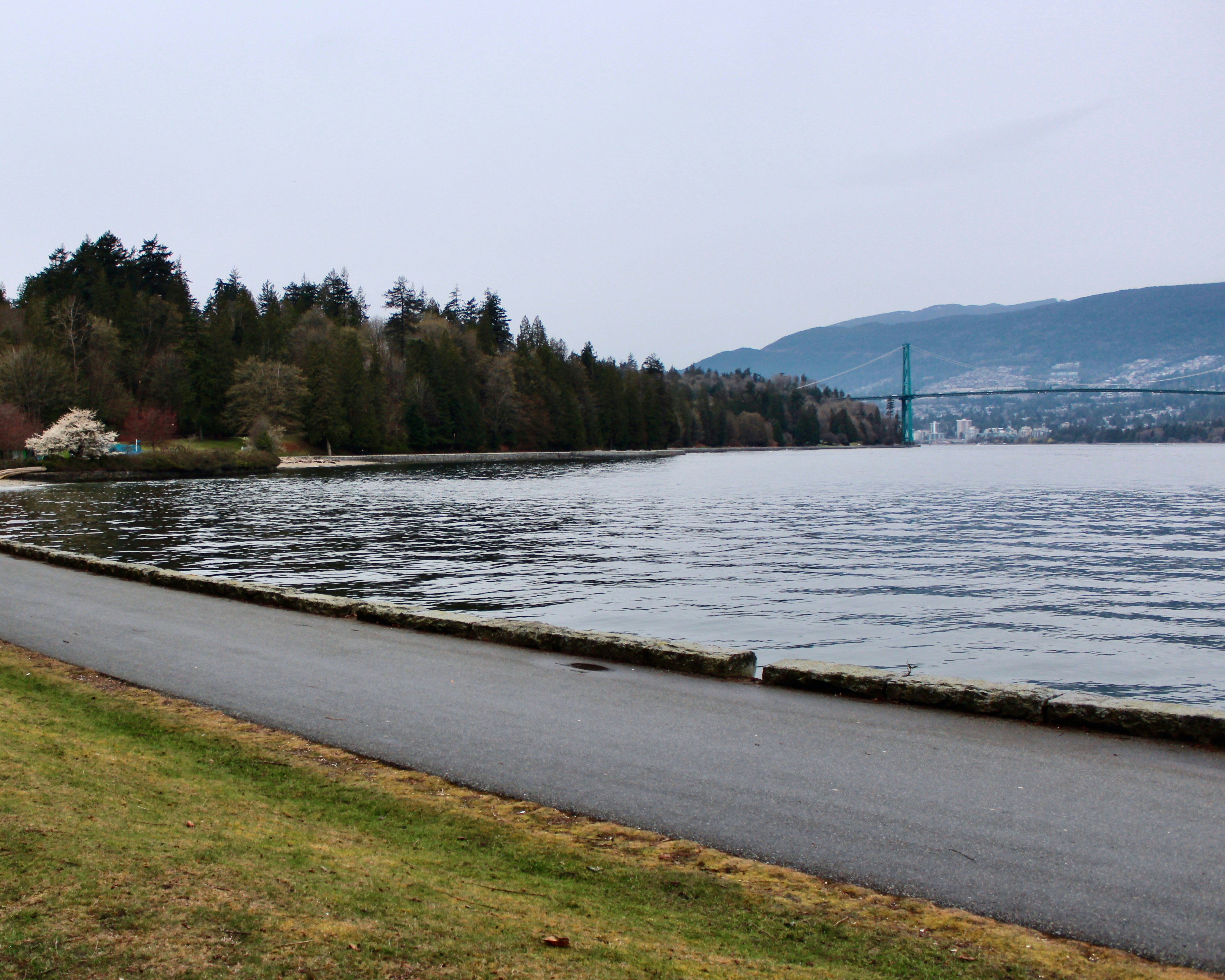 Photo by Tejash Shah with Canon EOS 600D