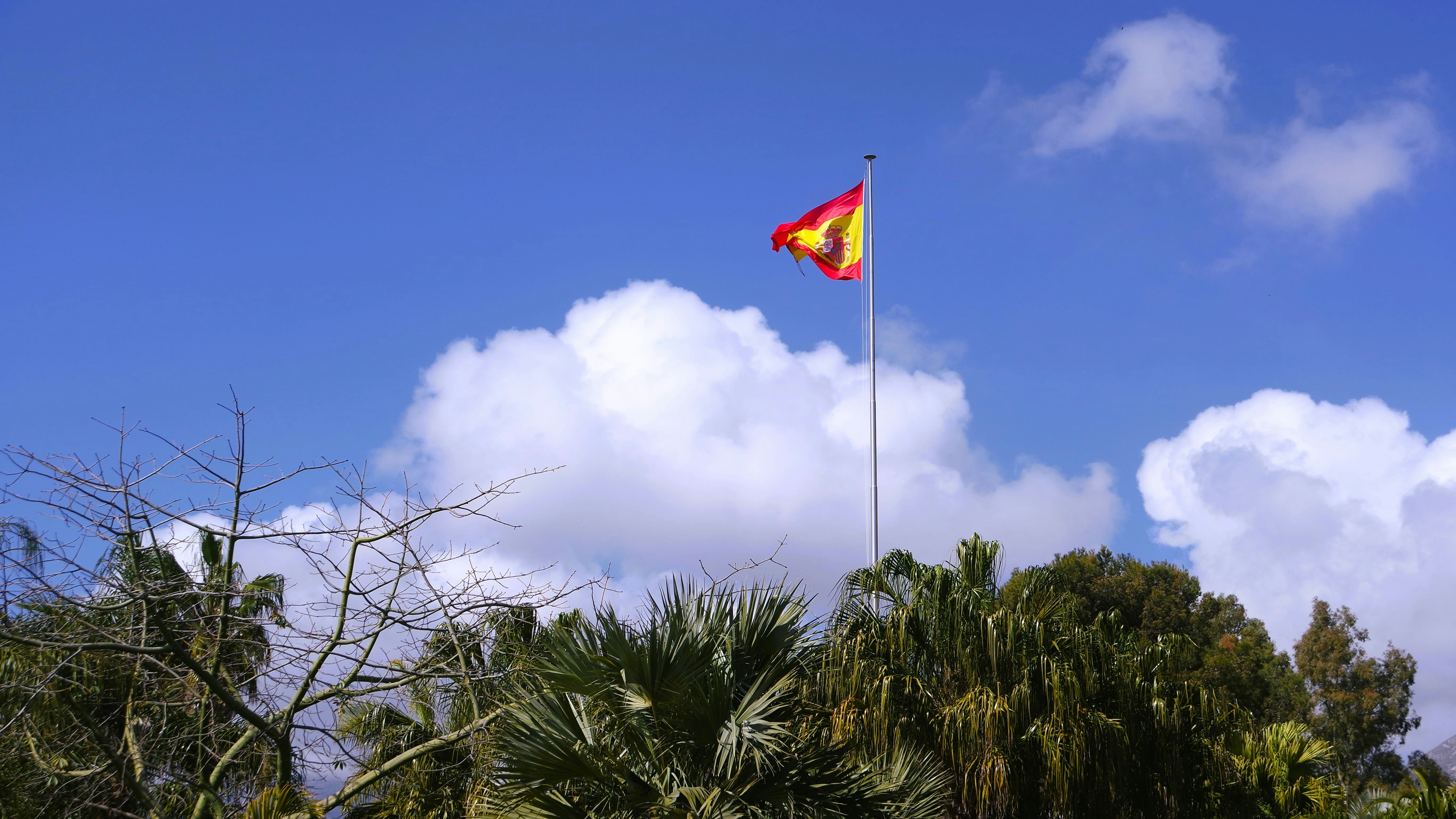 Flag of Spain Rises Over Tropical Foliage Against a Cerulean Sky
