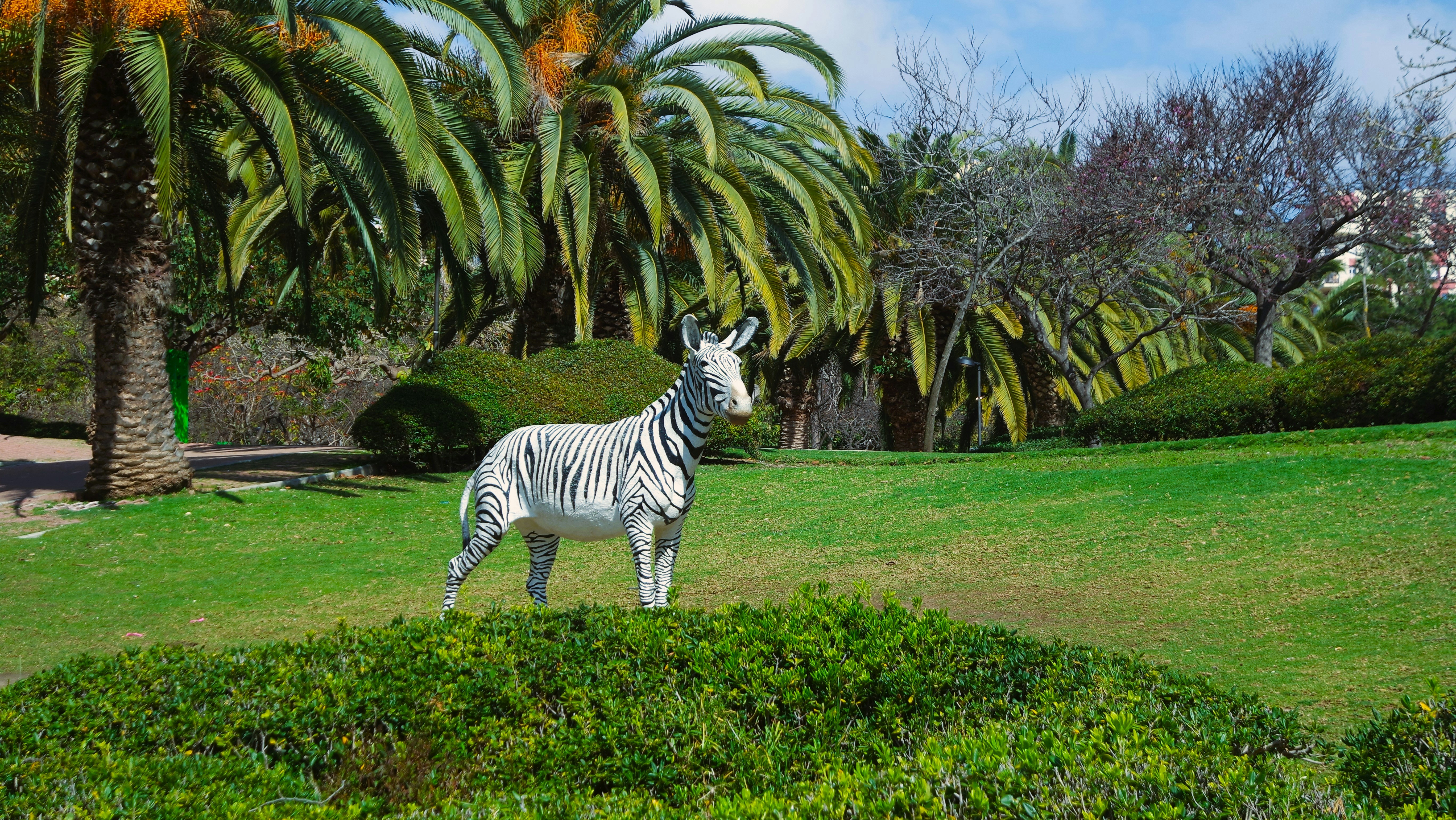Sunlit Zebra Statue Amid Palm-Lined Greenery