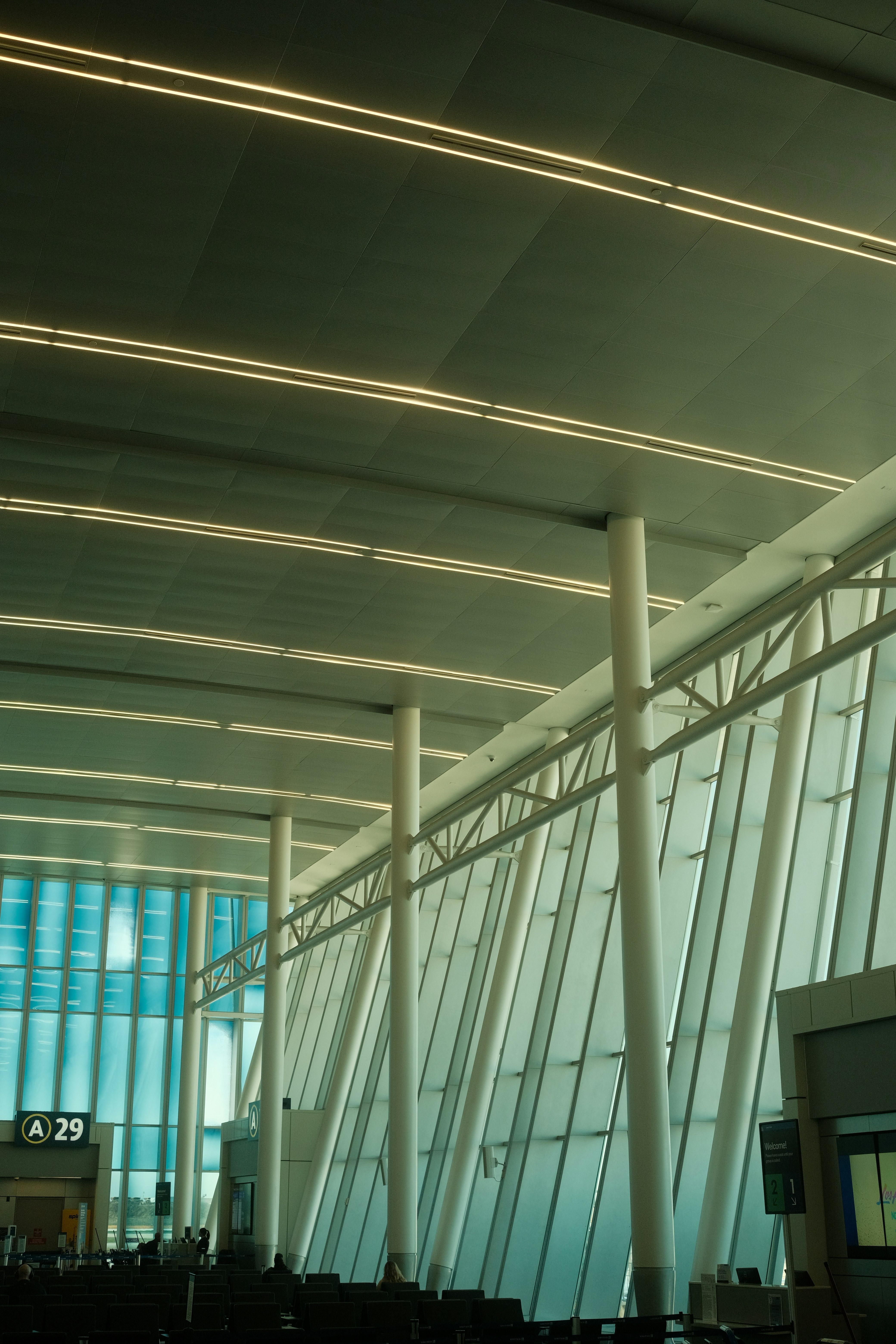 Modern airport terminal with sleek, arched ceilings and large windows creating a play of light and shadows.