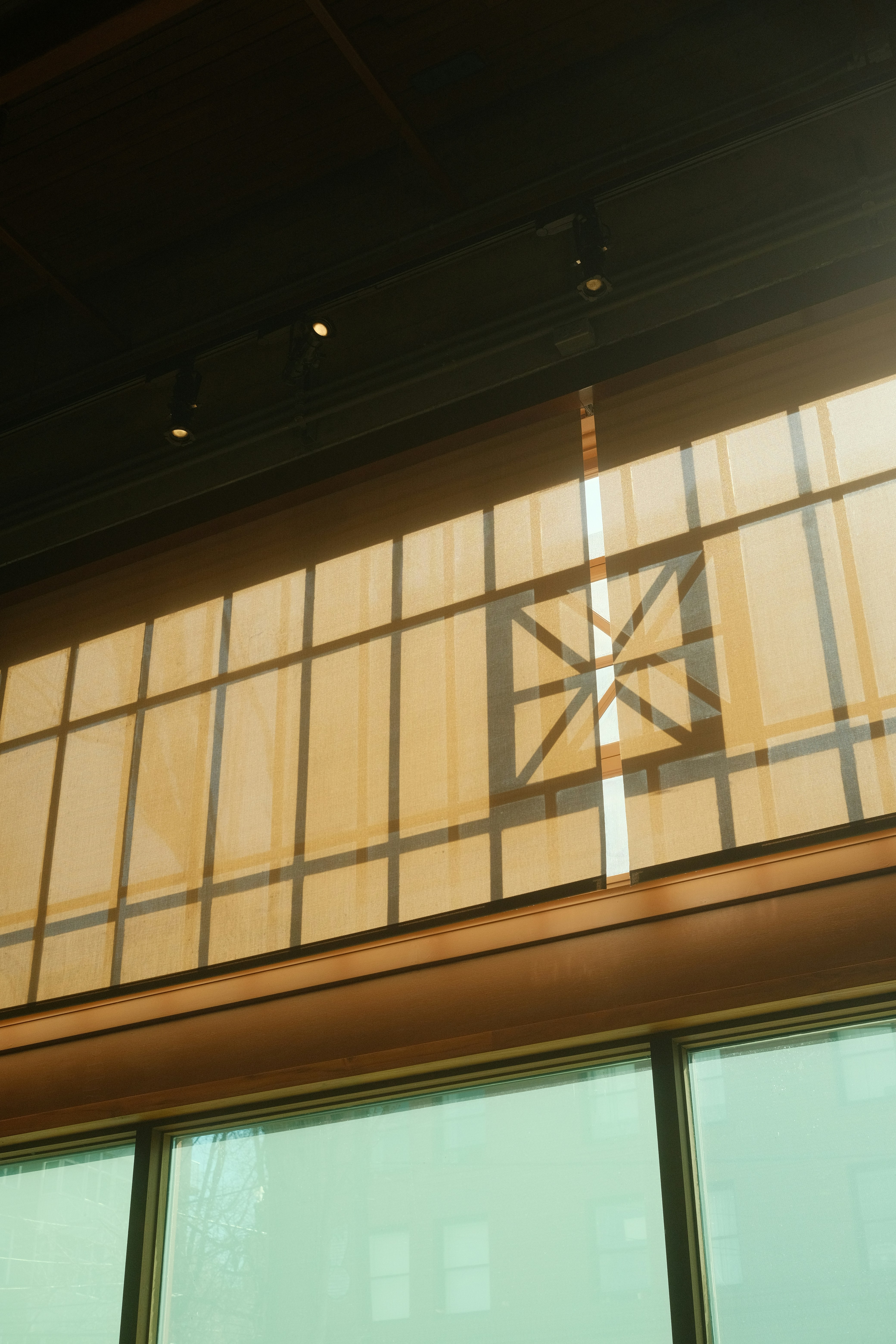 Framed Geometry: Sunlit Grid with a Central Starburst