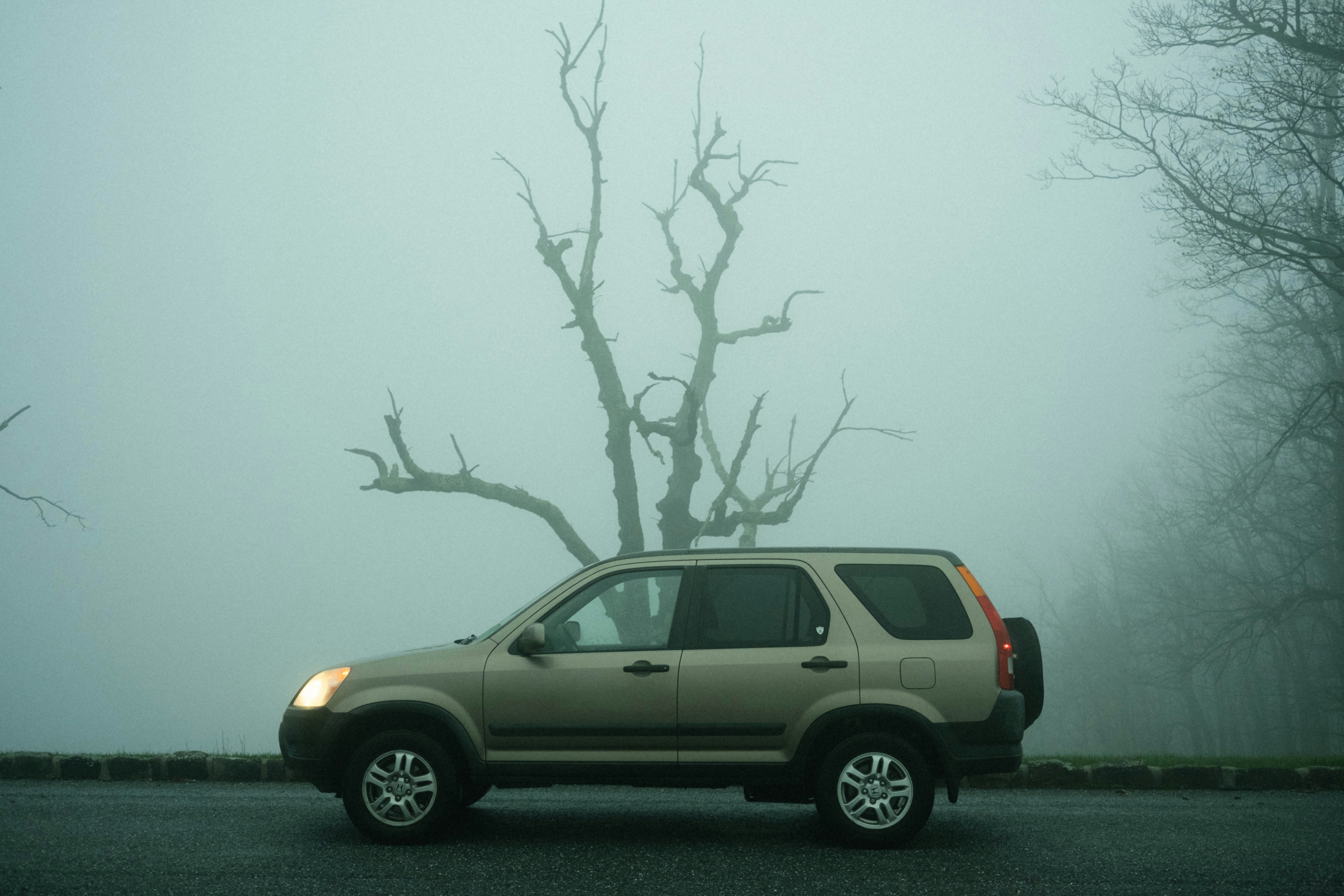 a car parked on the side of the road in the fog