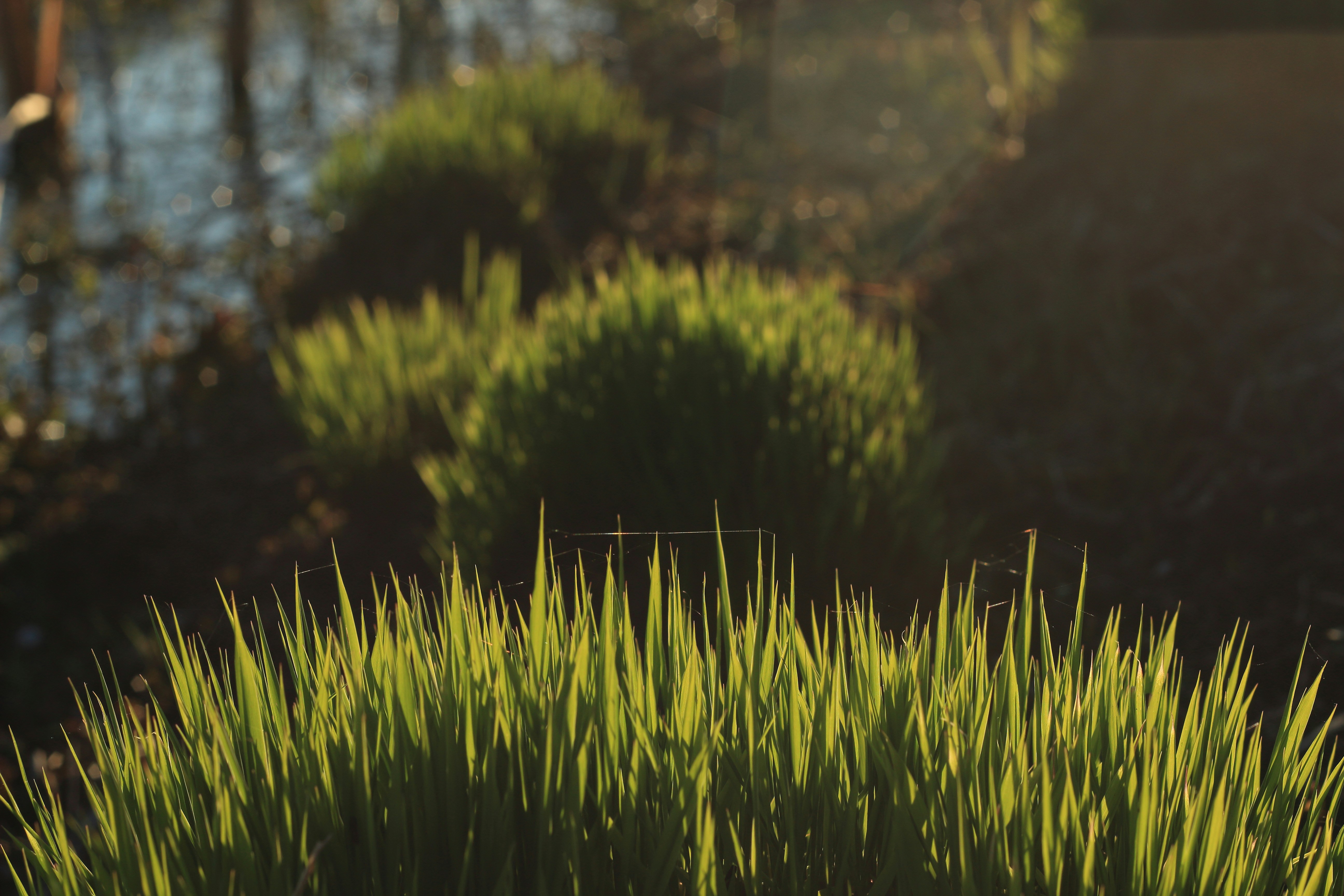 Photo by Andriy Babchiy with Canon EOS 600D