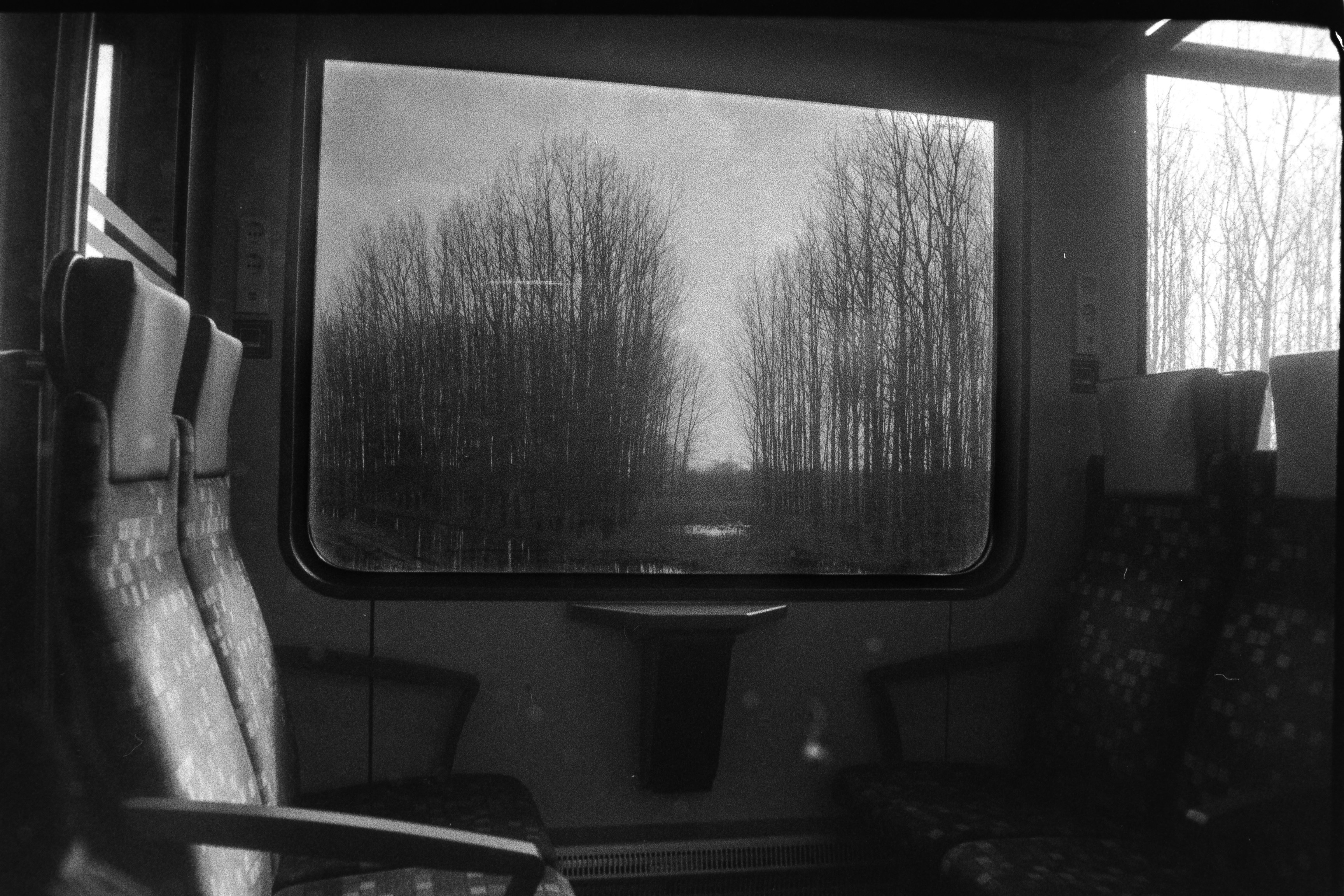 Quiet Horizon Through a Train Window: Winter Trees in Mono