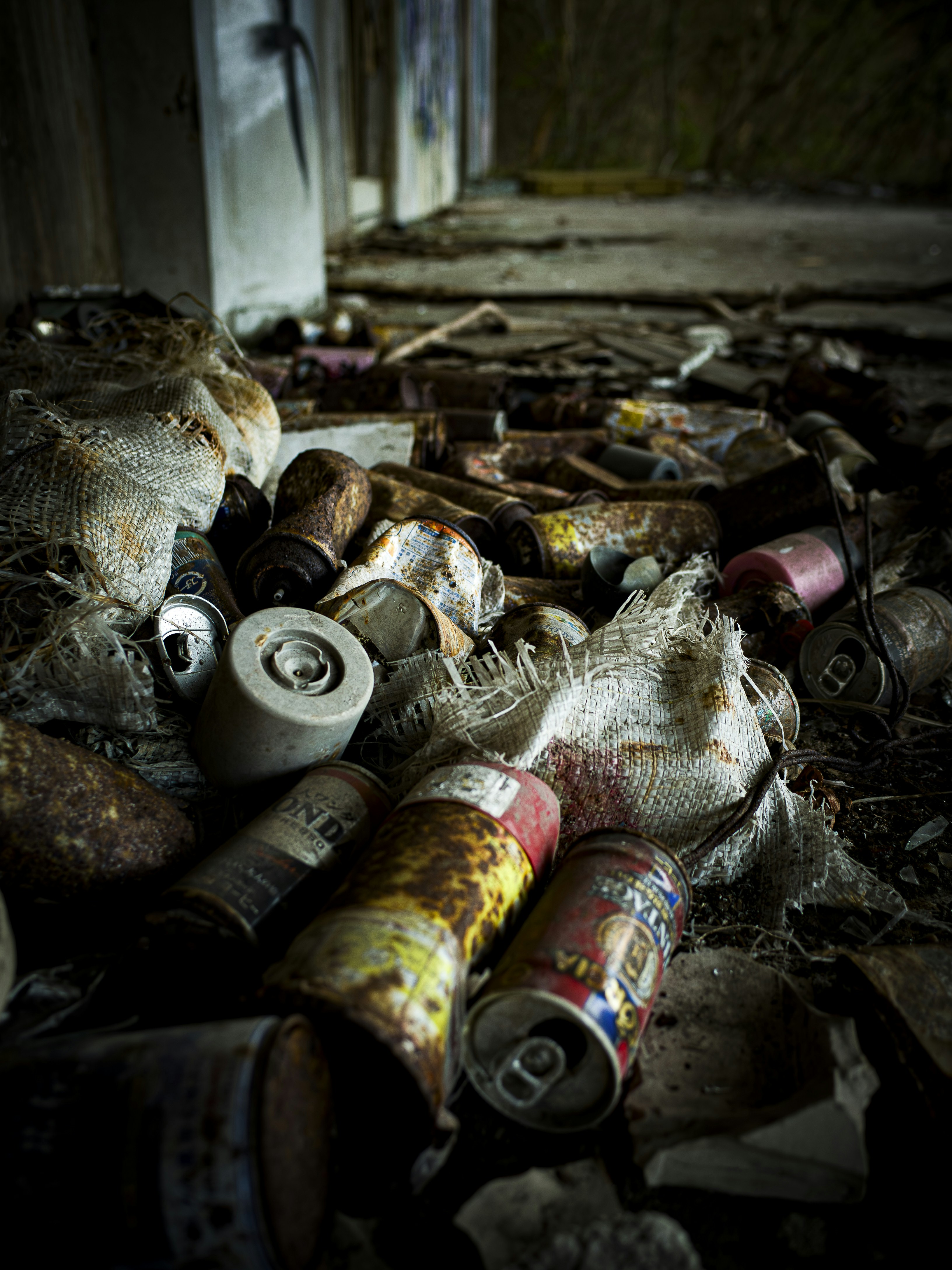 Echoes of Abandonment: A Canopy of Rust
