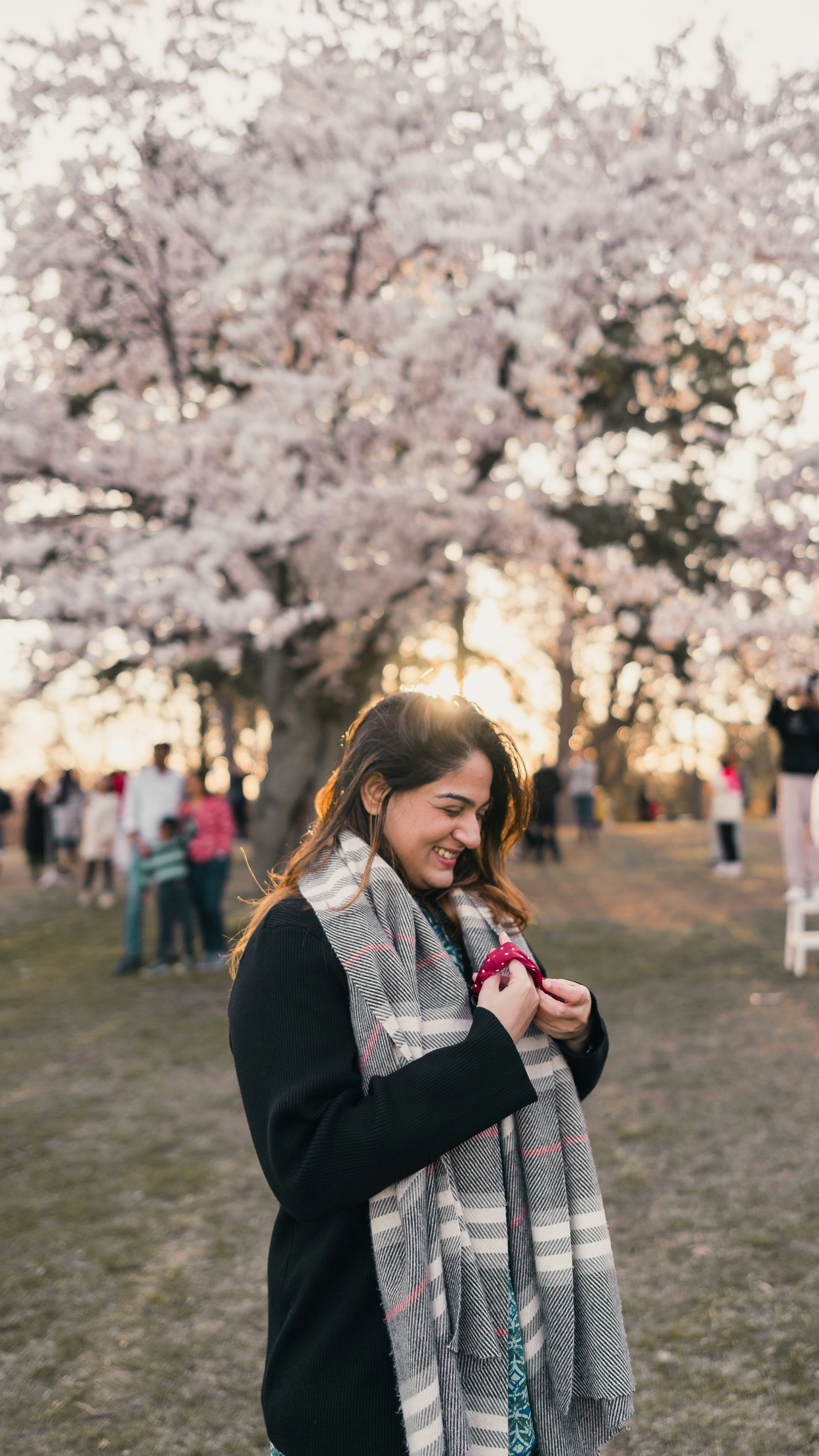 Portrait in a Cherry-Tree Glow at Golden Hour