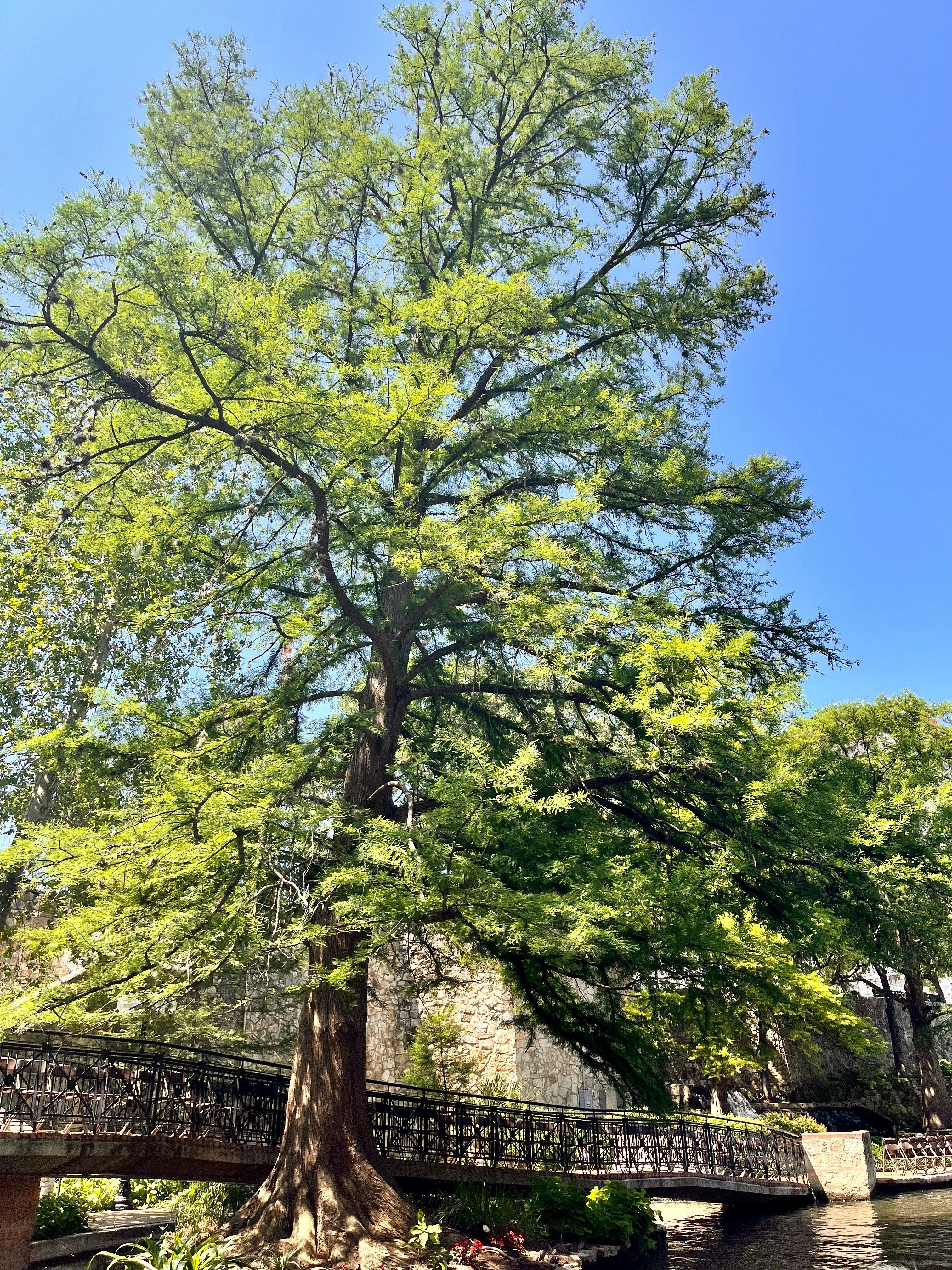 San Antonio river walk