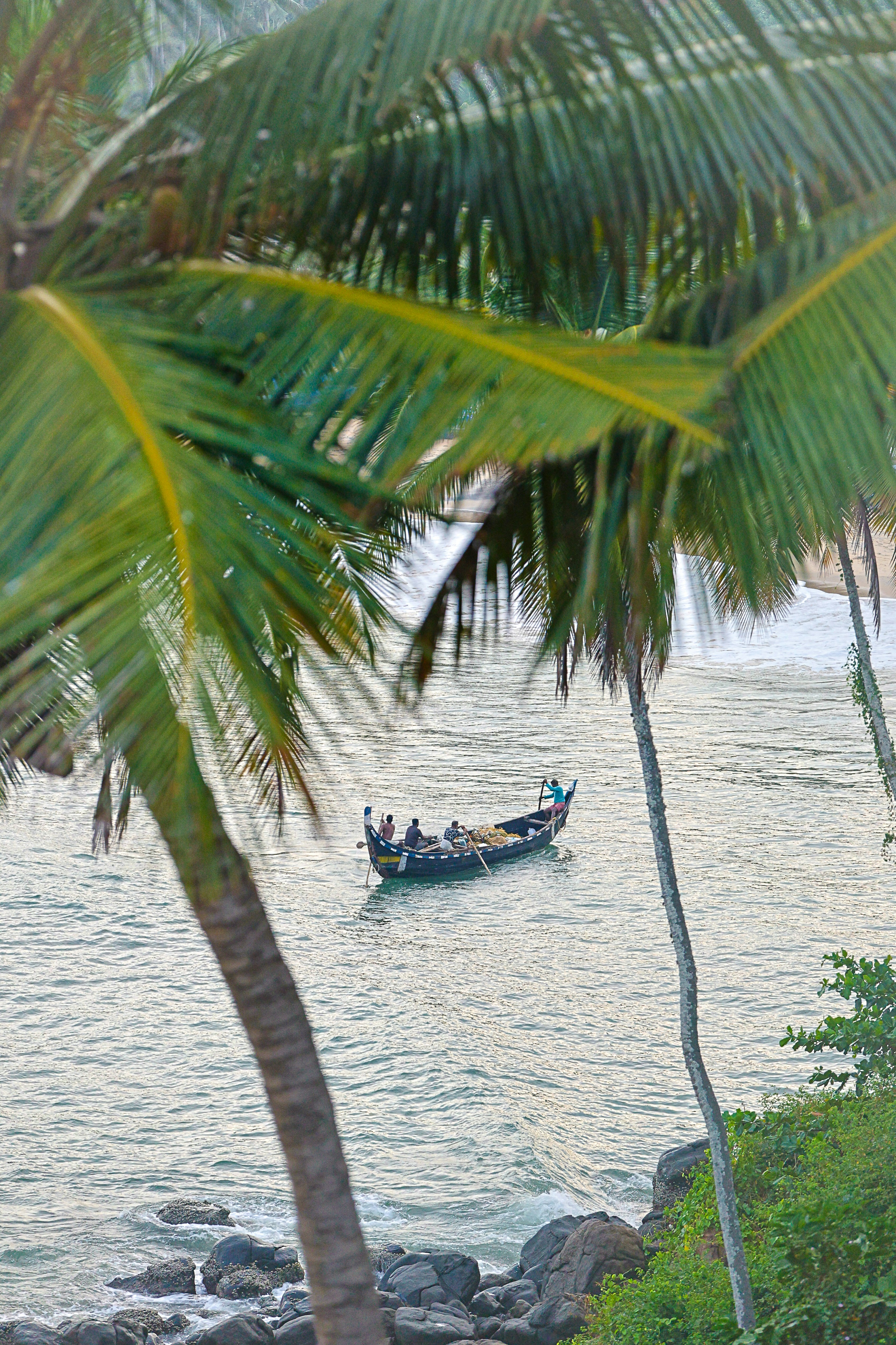 Palm-Frame Panorama: A Gentle Boat Glide Through Quiet Tropical Waters